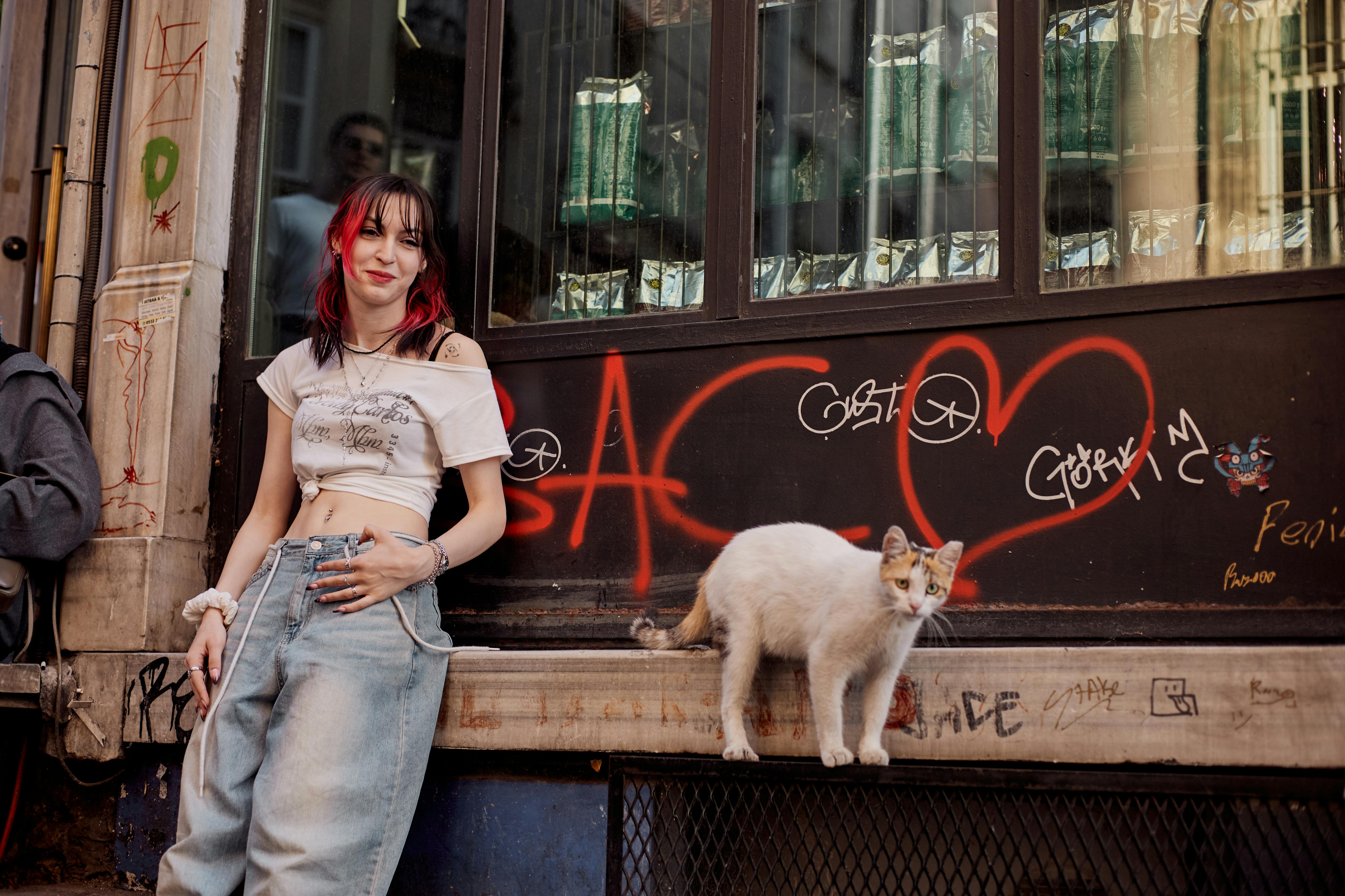 Cat Trace Photos, Download The BEST Free Cat Trace Stock Photos & HD Images