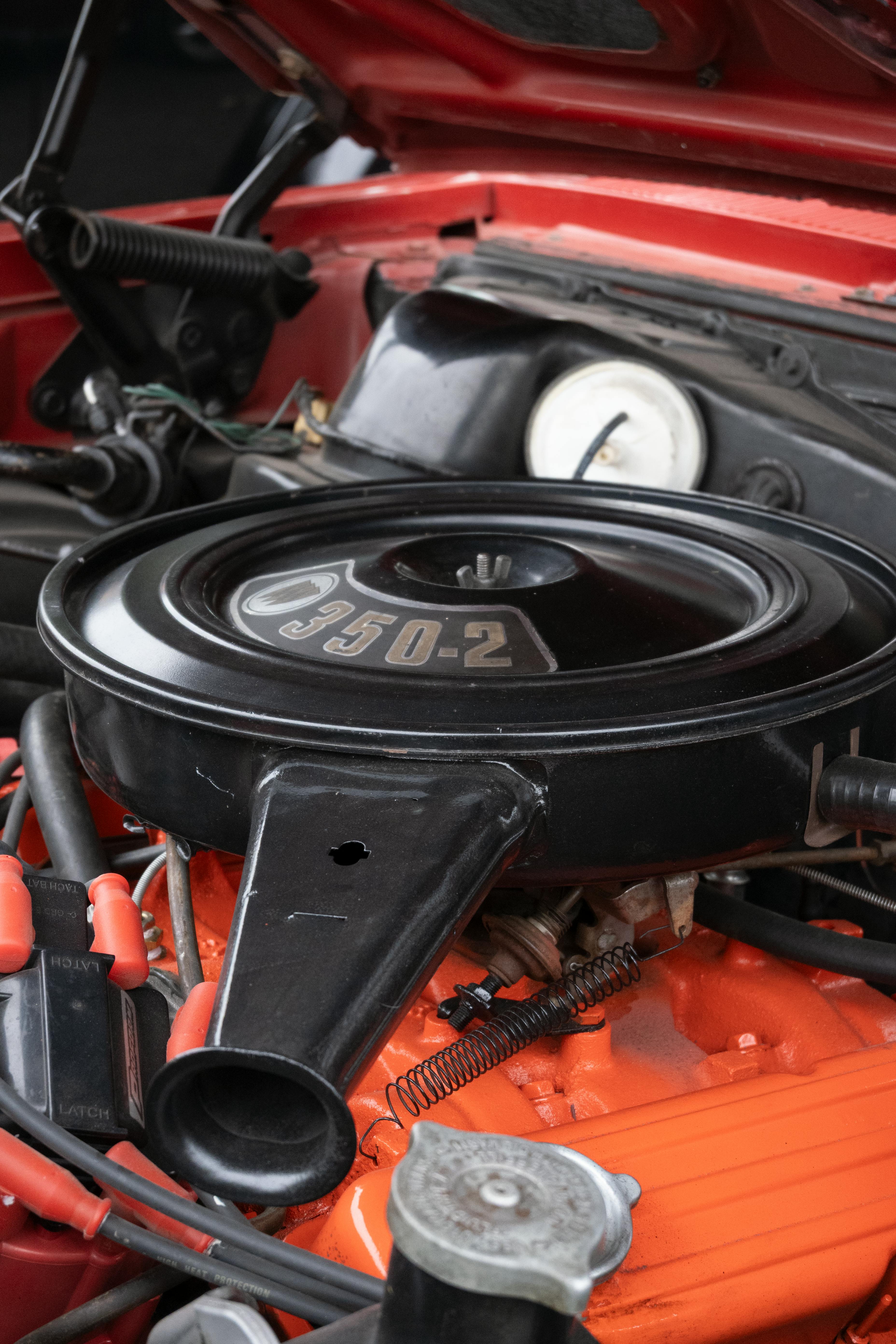 Tiv 2 Photos, Download The BEST Free Tiv 2 Stock Photos & HD Images