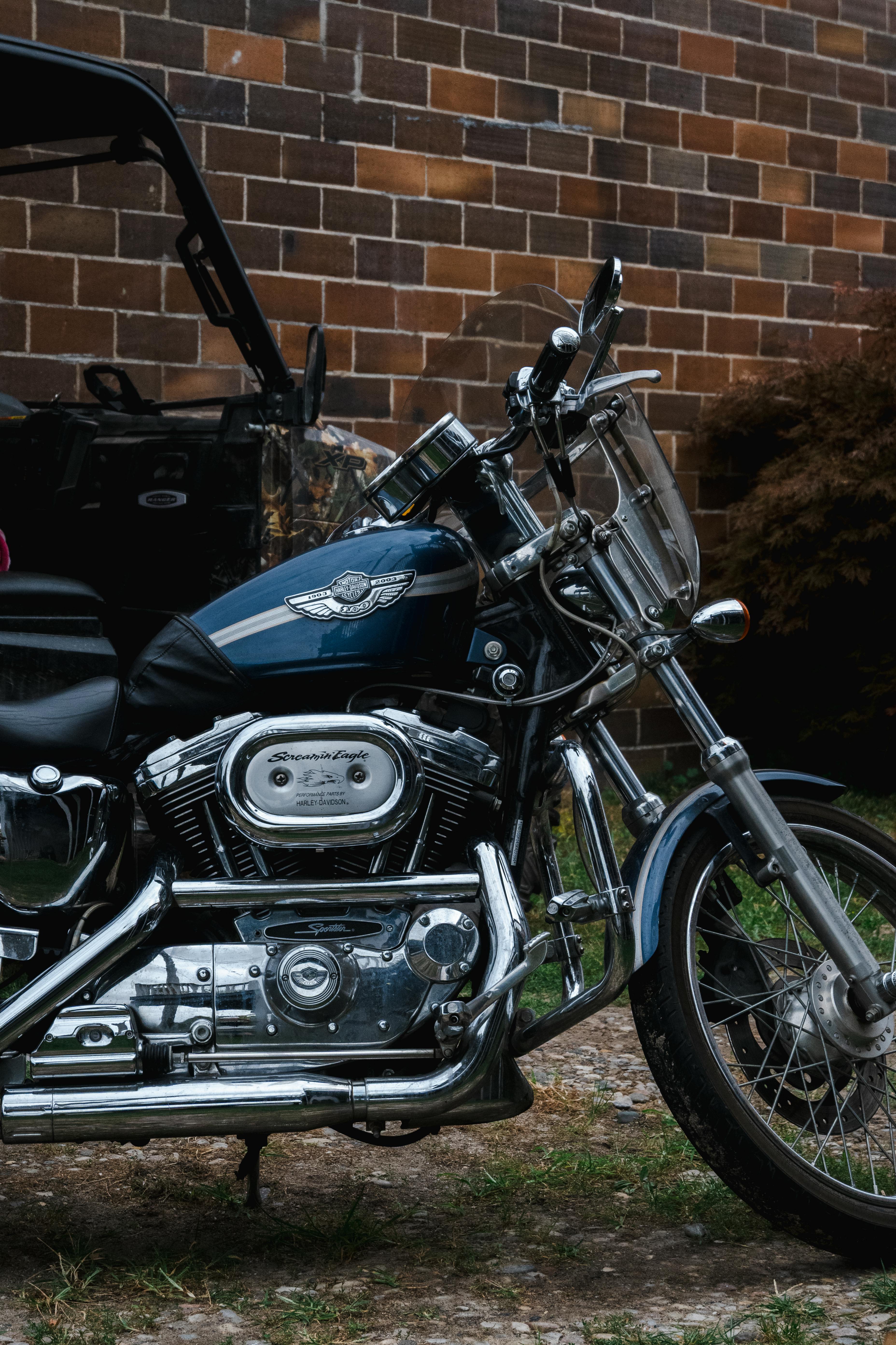 Tuff+Discord+Profile+Pictures Photos, Download The BEST Free Tuff ...