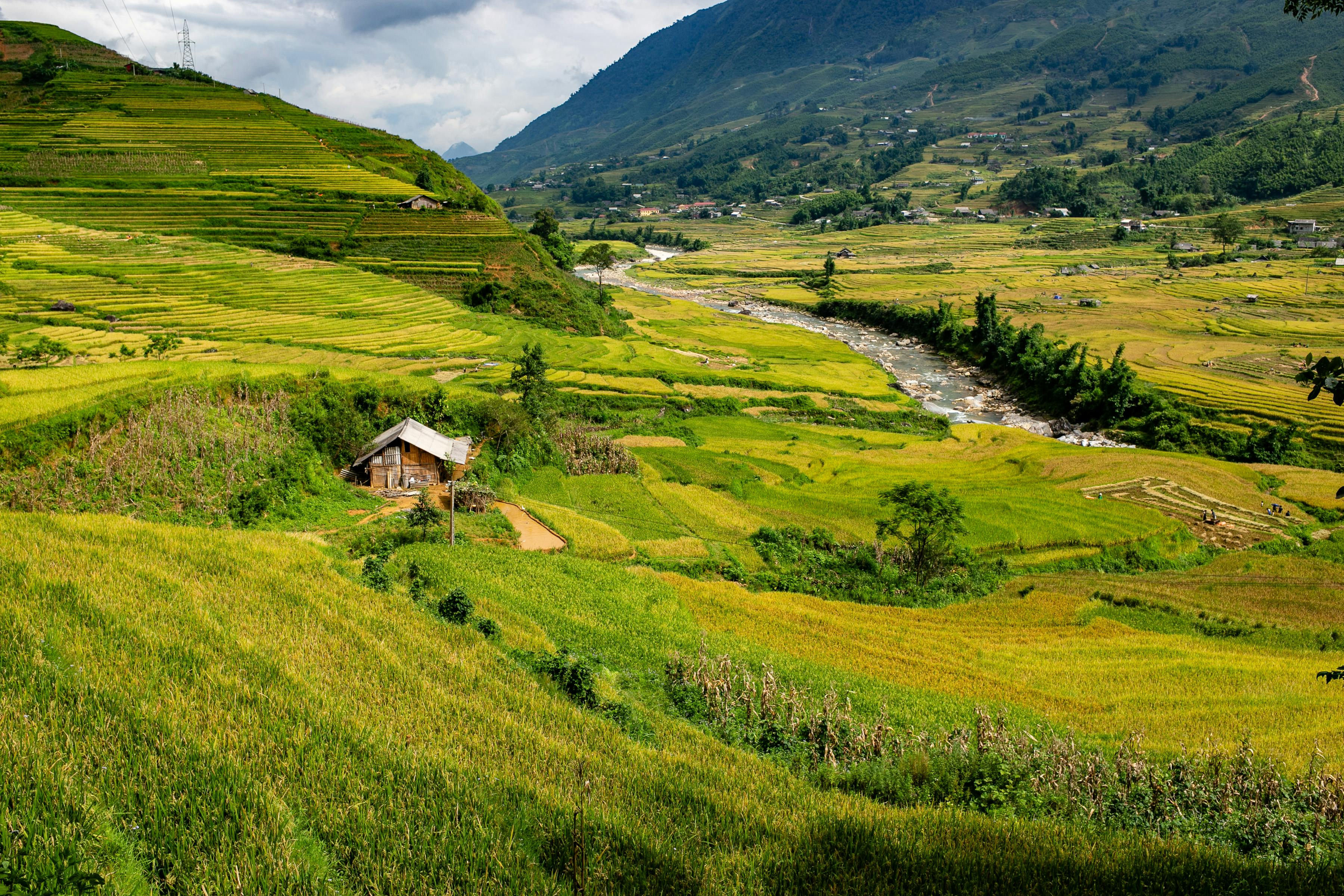 Scenic Rice Terraces in Lào Cai, Vietnam · Free Stock Photo