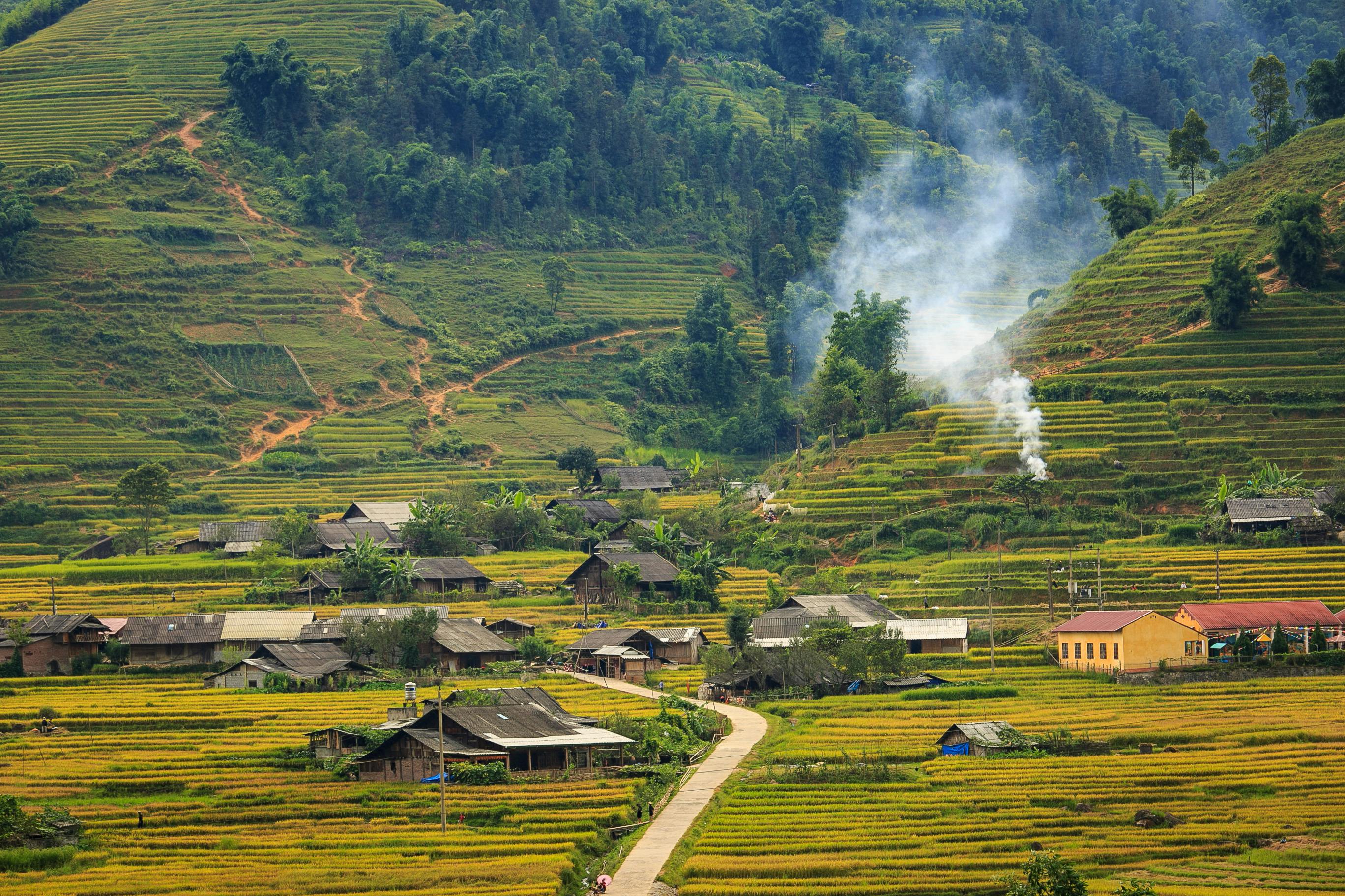 Vibrant Rice Terraces in Lào Cai, Vietnam · Free Stock Photo