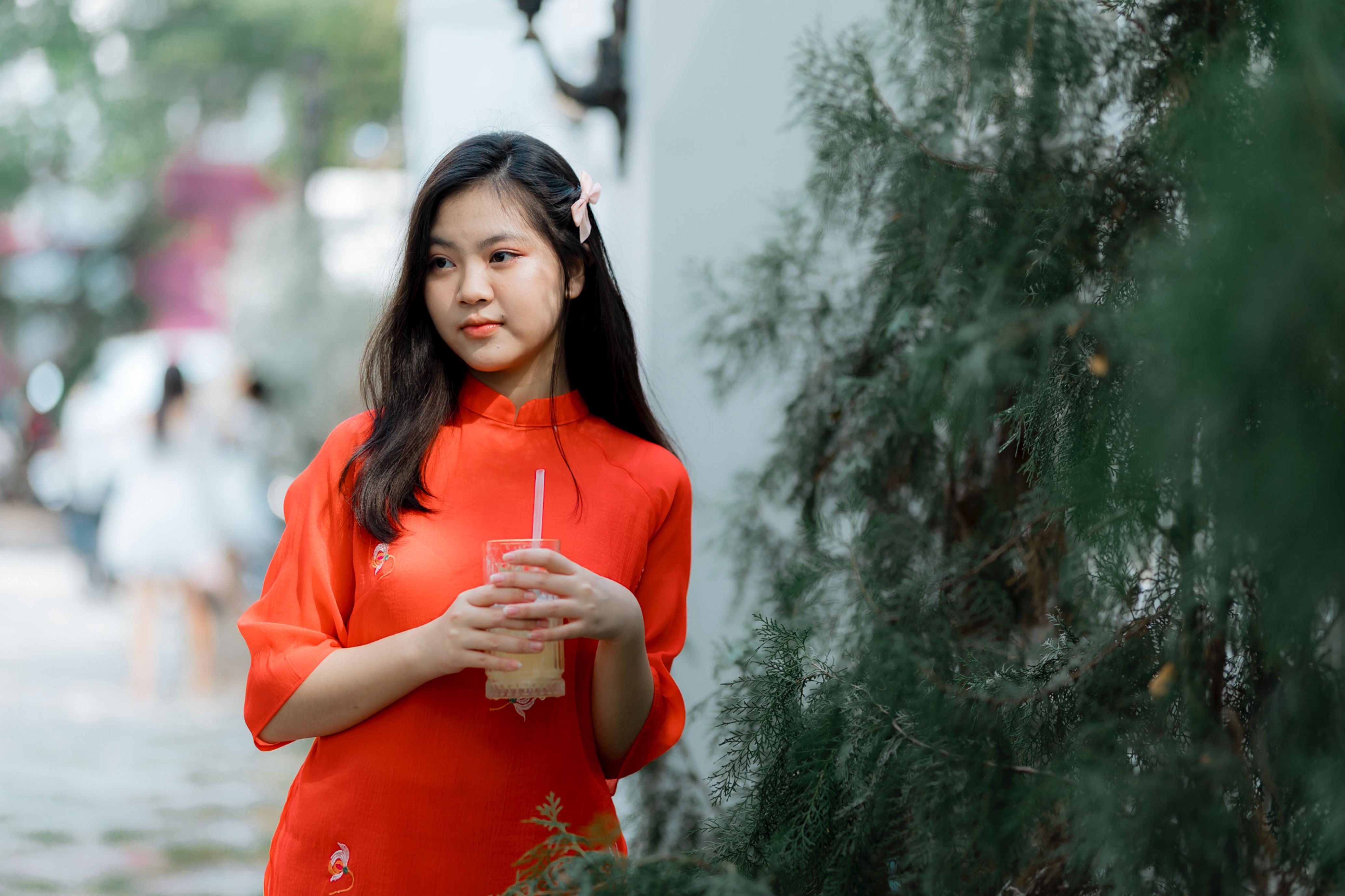 Tadi Drink Tree Photos, Download The BEST Free Tadi Drink Tree Stock ...