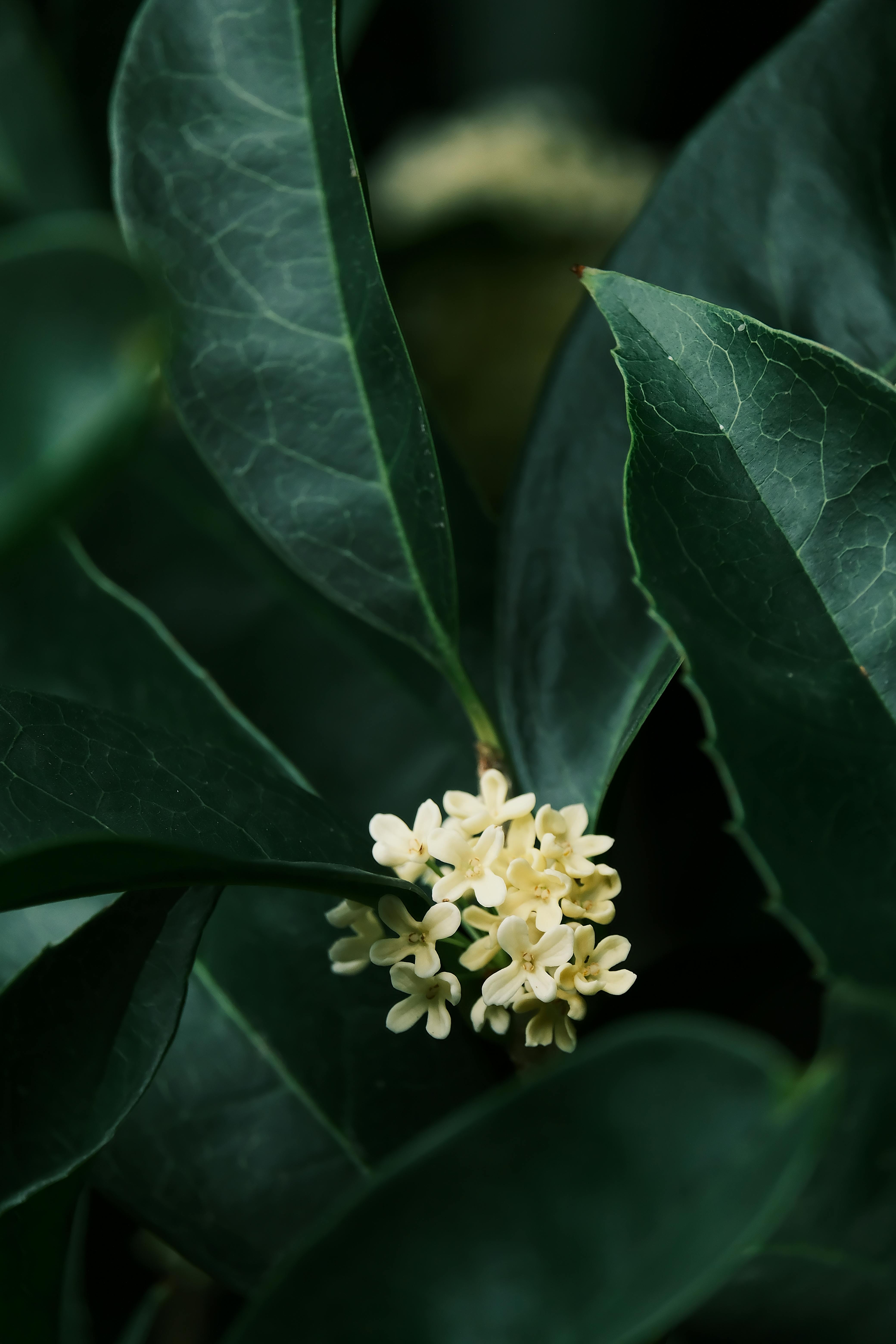 Loopy Background Photos, Download The BEST Free Loopy Background Stock ...