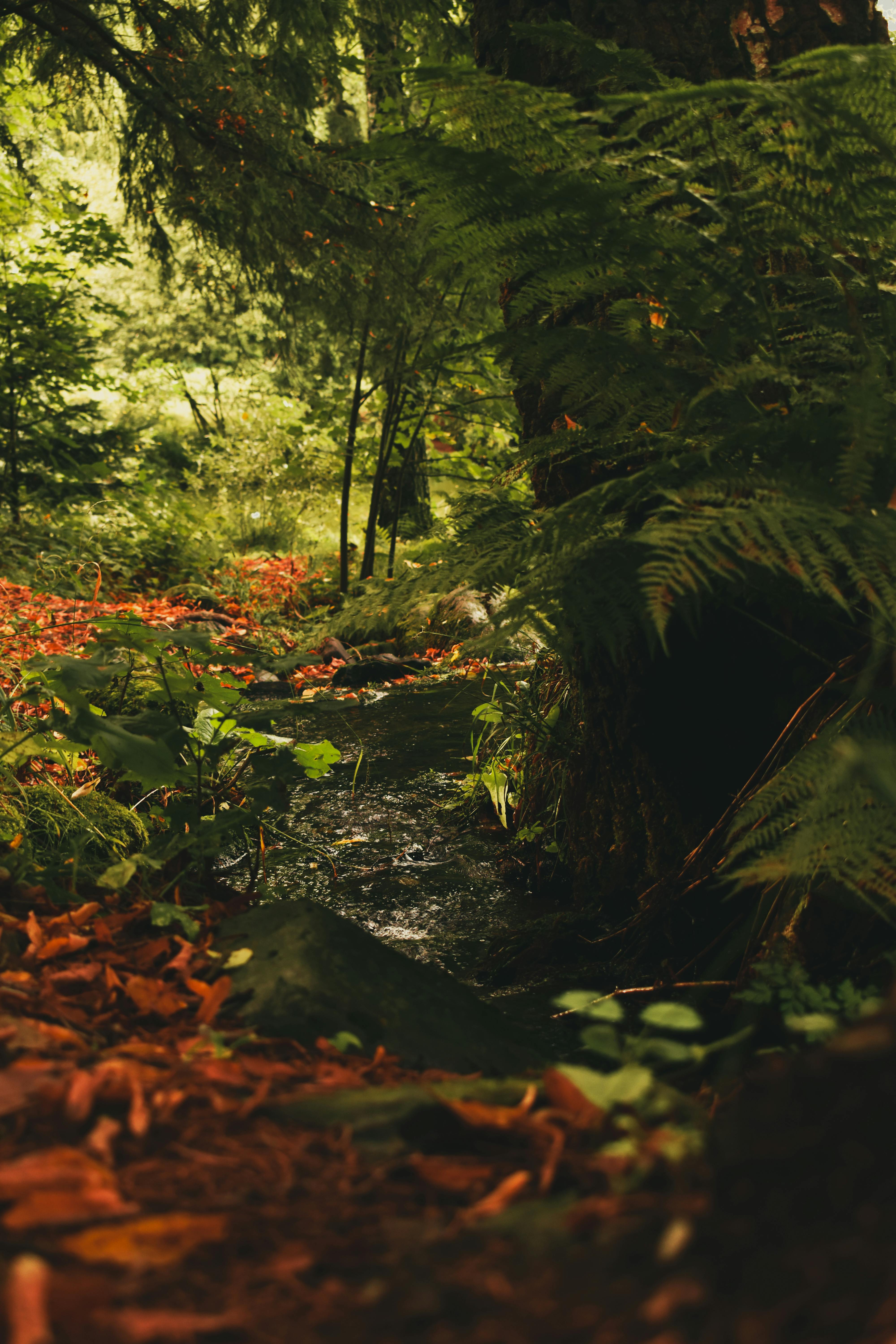 Danielle+Moss+Wallpaper Photos, Download The BEST Free Danielle+Moss ...