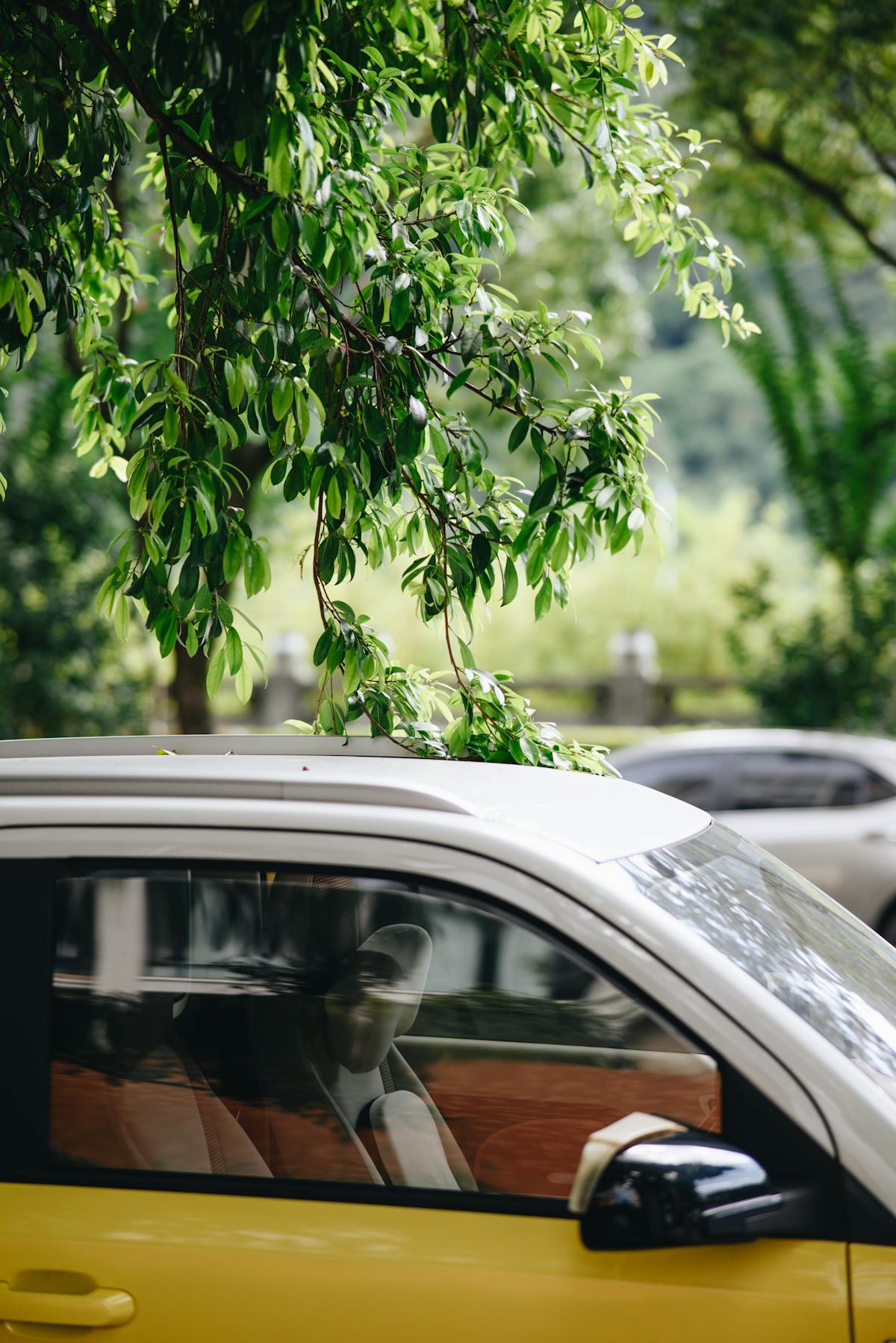 Yellow Car Photos, Download The BEST Free Yellow Car Stock Photos & HD ...