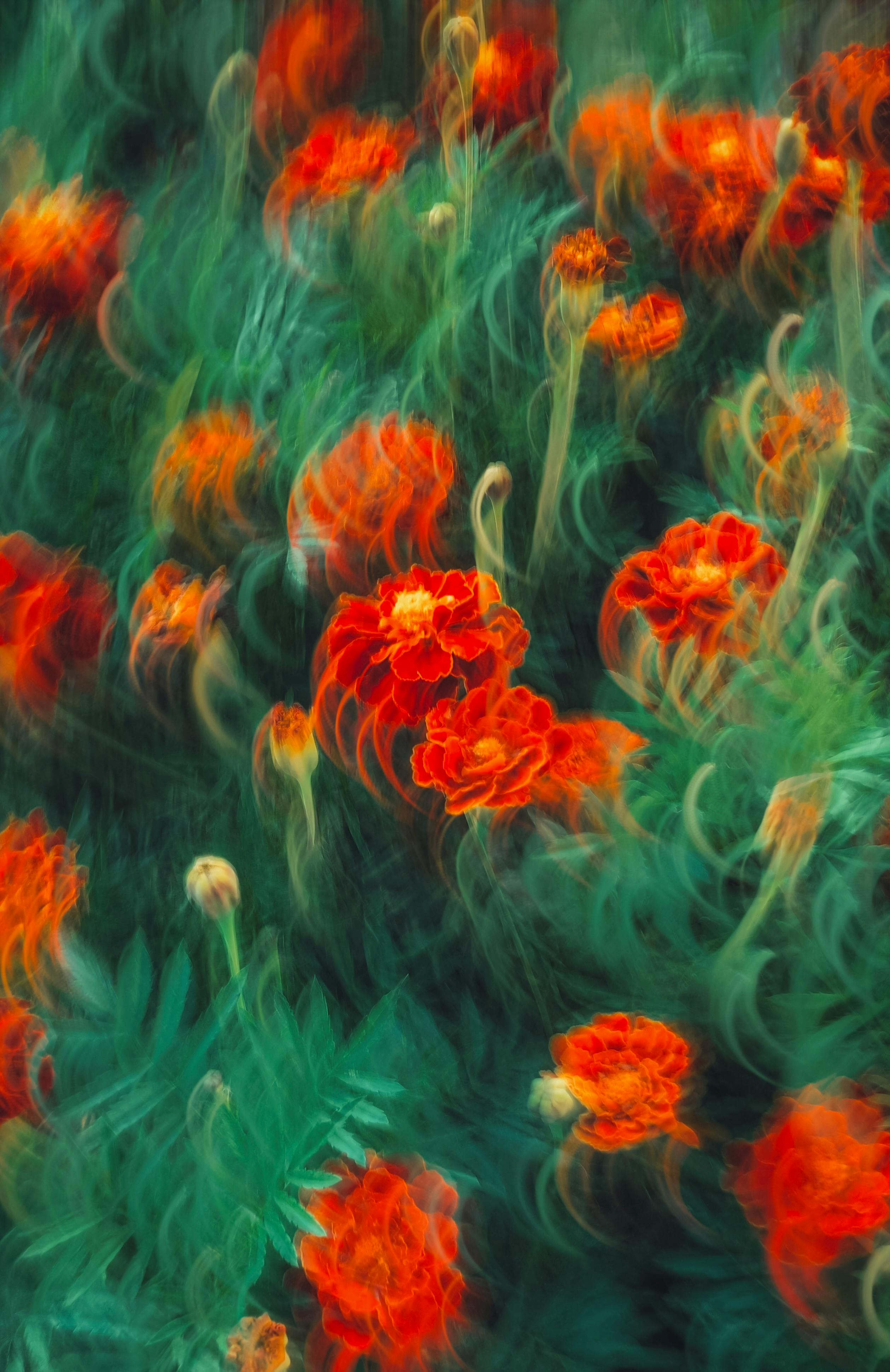 30.000+ Nackte+titten+bilder Bilder und Fotos · Kostenlos Downloaden · Pexels Stock-Fotos