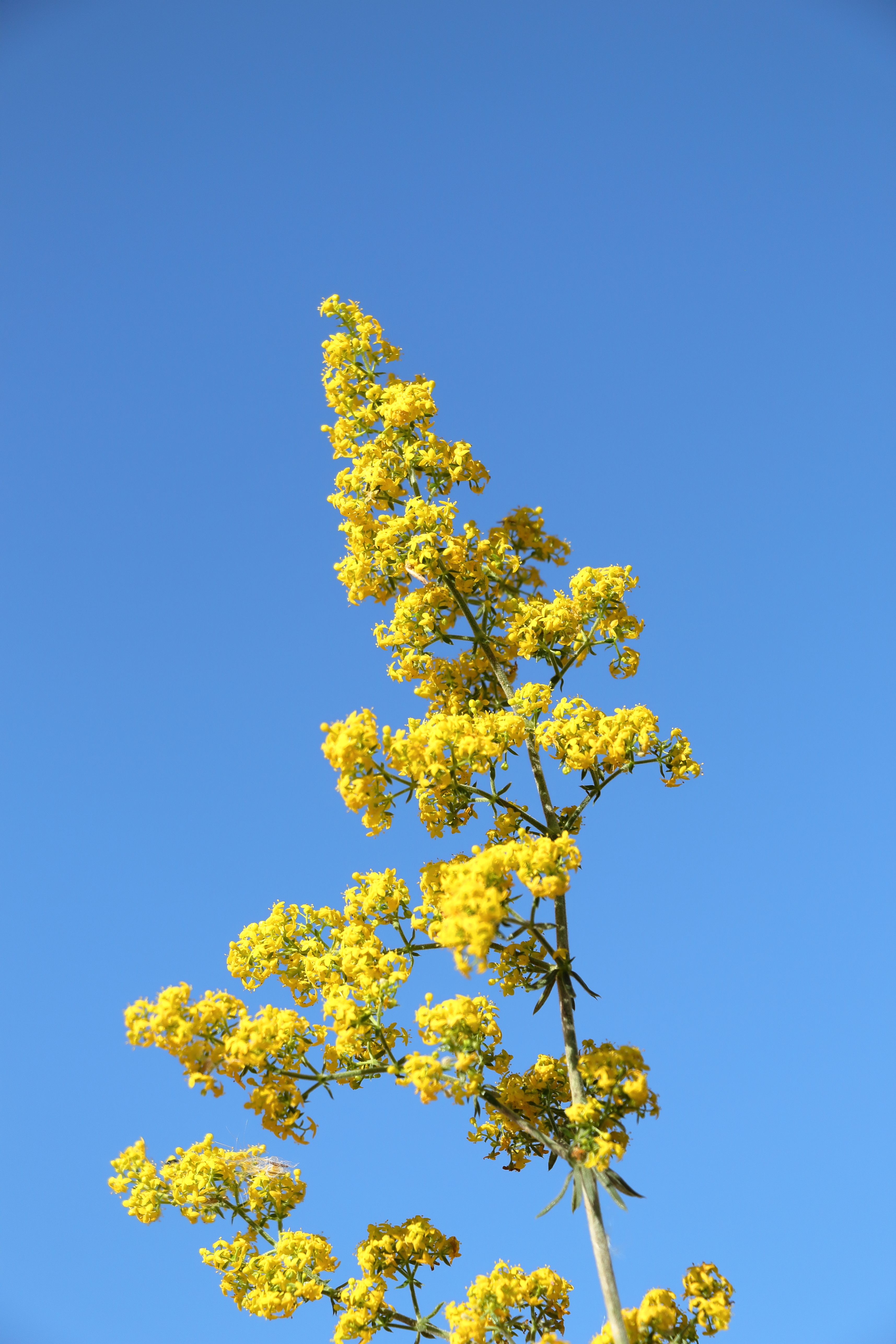 Primary Colors Photos, Download The BEST Free Primary Colors Stock ...