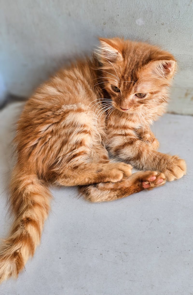 Hot+Body+Gifs Photos, Download The BEST Free Hot+Body+Gifs Stock Photos ...