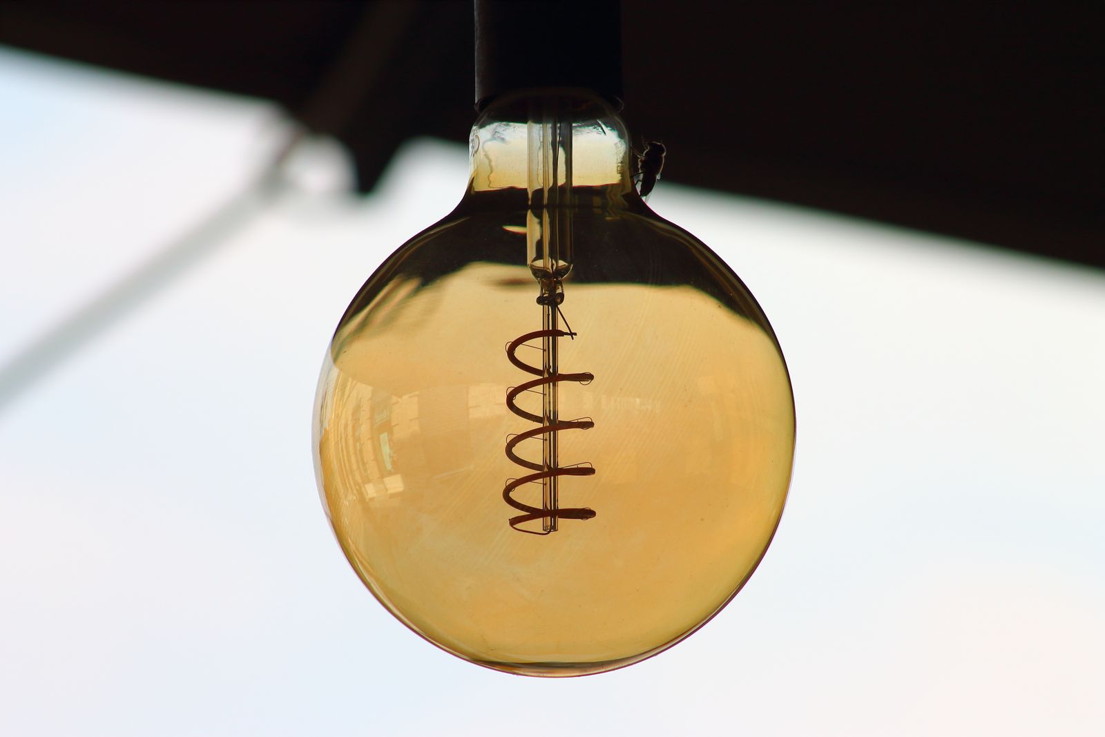 Bulb Png Photos, Download The BEST Free Bulb Png Stock Photos & HD Images