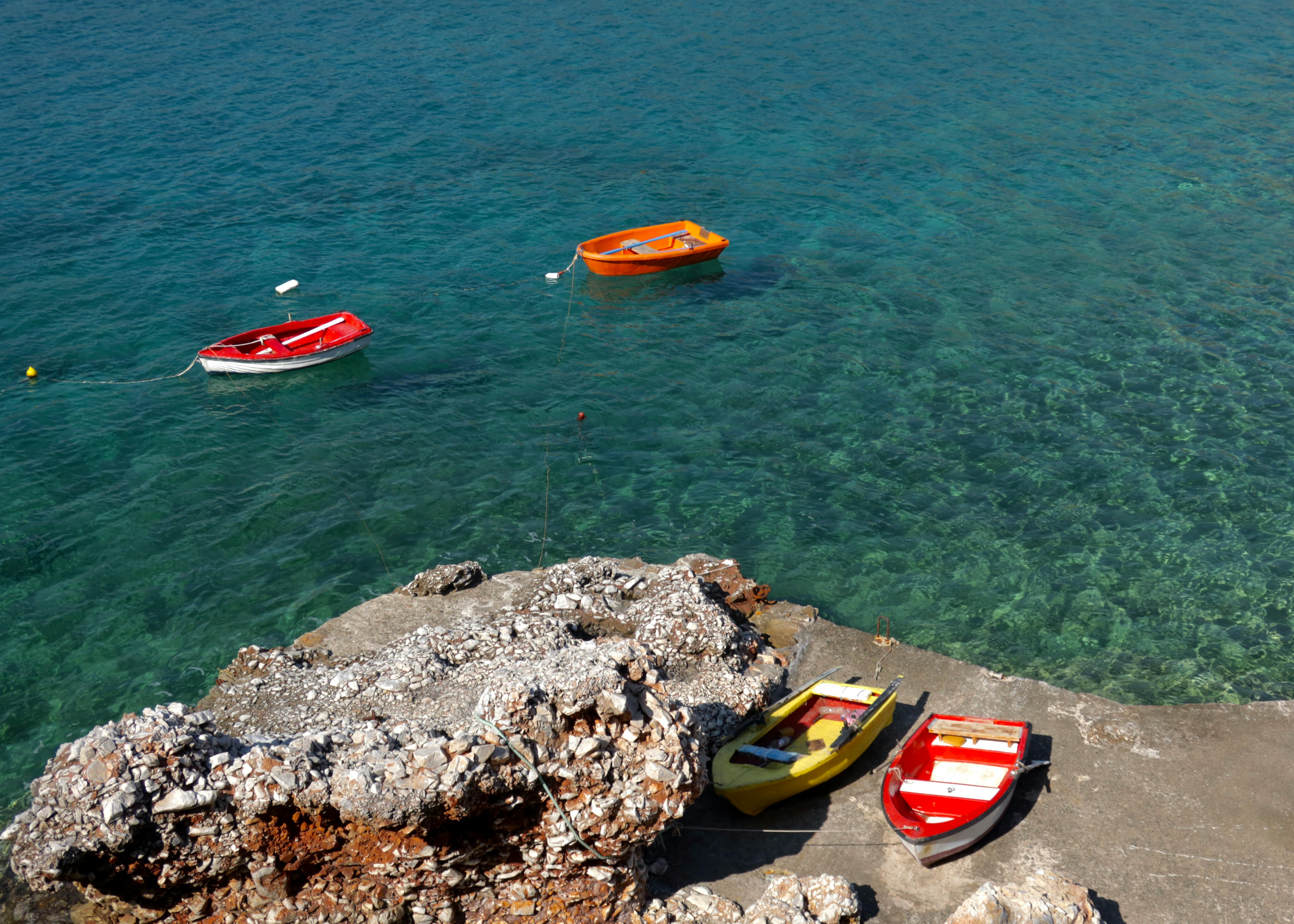 Little+Caprice+Gifs Photos, Download The BEST Free Little+Caprice+Gifs ...