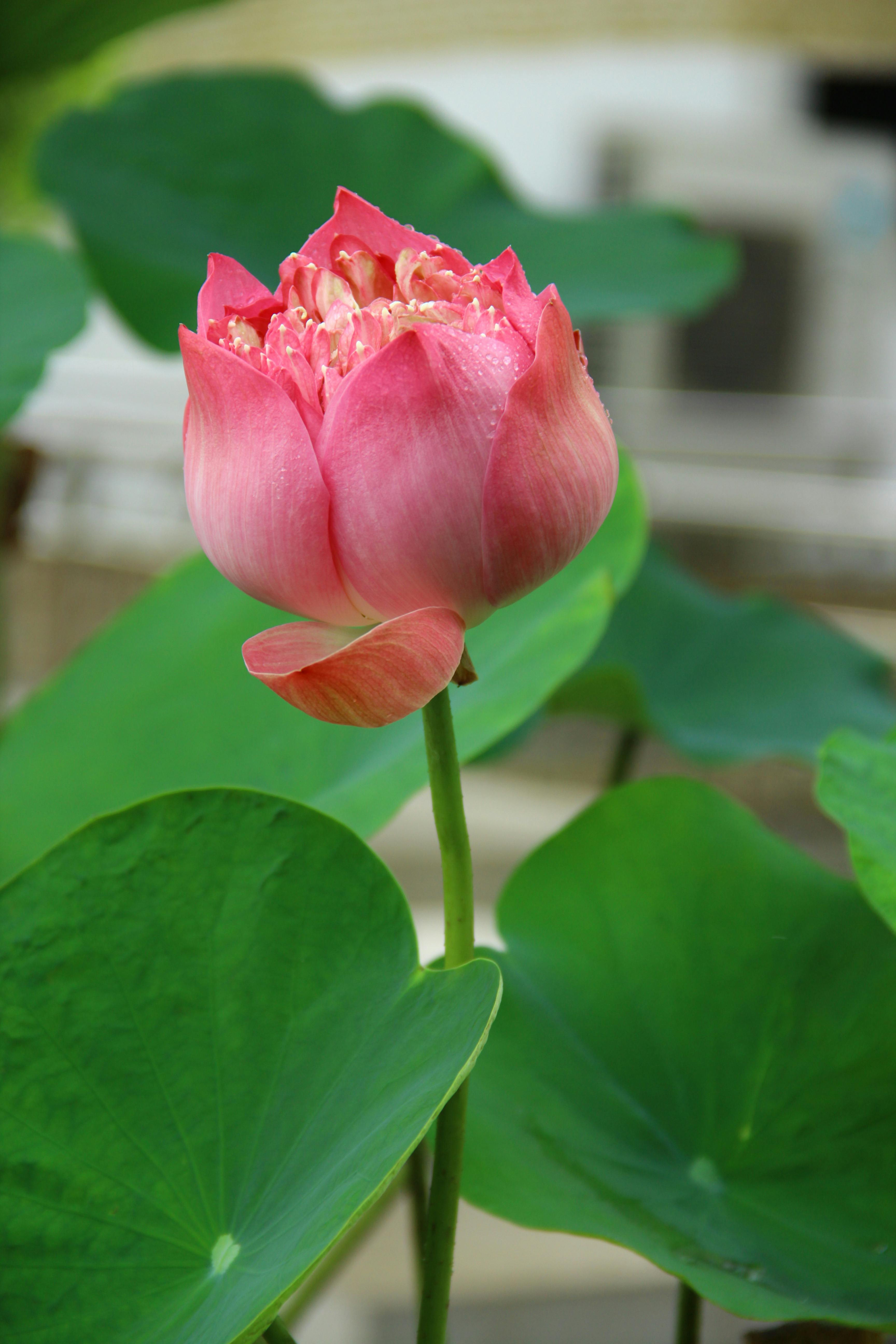 Sath+Sathiya+Images Photos, Download The BEST Free Sath+Sathiya+Images ...