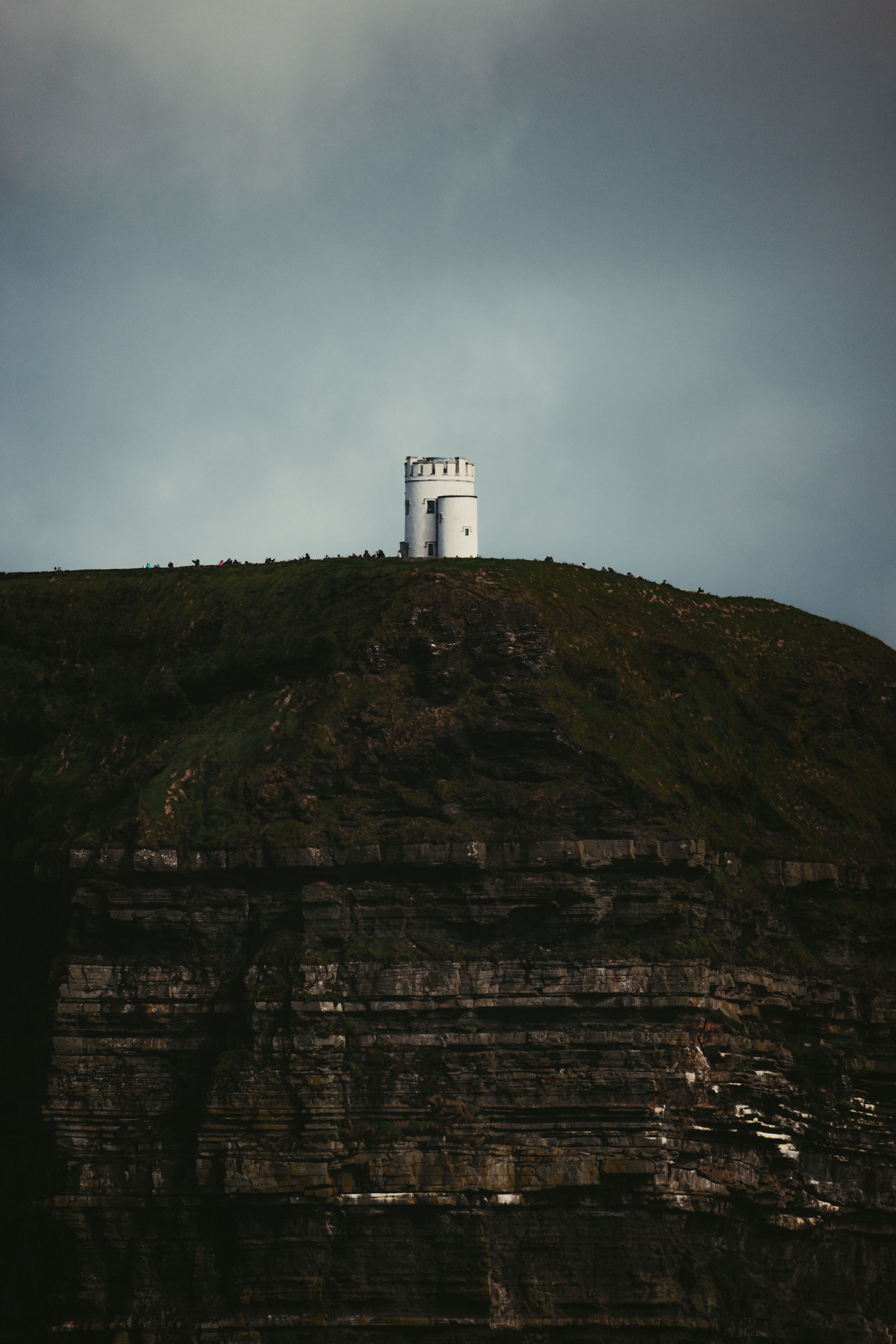 Iconic Daun Photos, Download The BEST Free Iconic Daun Stock Photos ...