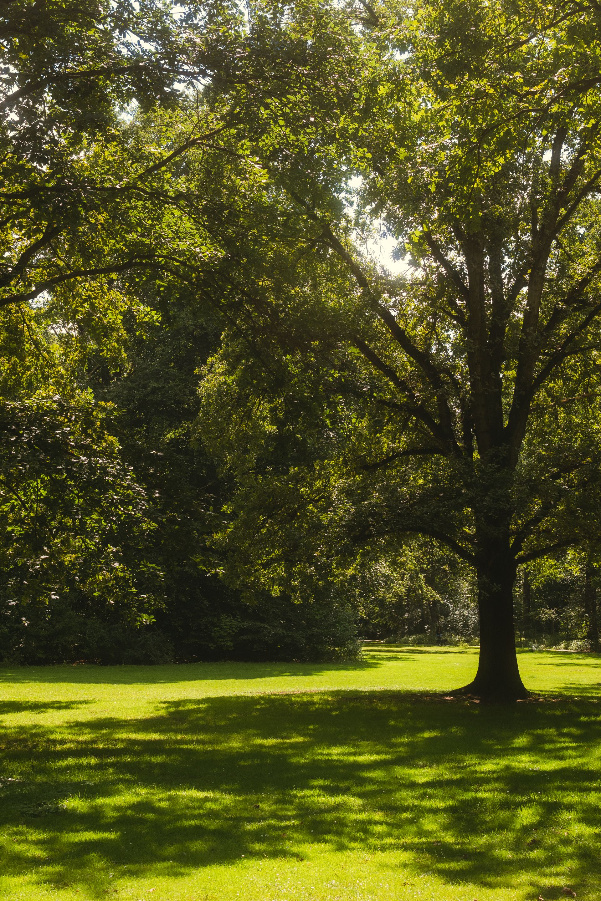 Restful Scenes Photos, Download The BEST Free Restful Scenes Stock ...