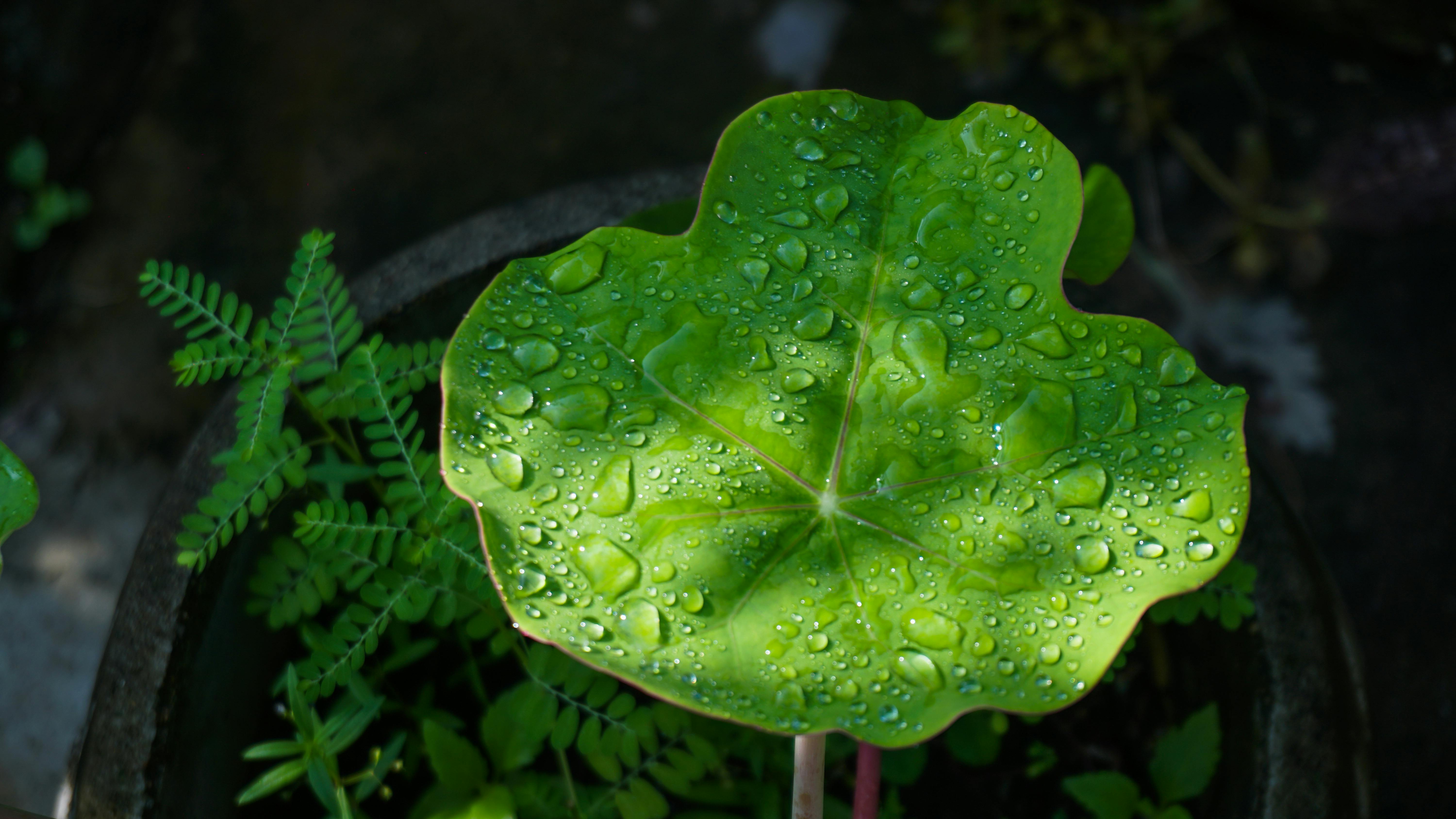 Vladimir Putin Photo Photos, Download The BEST Free Vladimir Putin ...