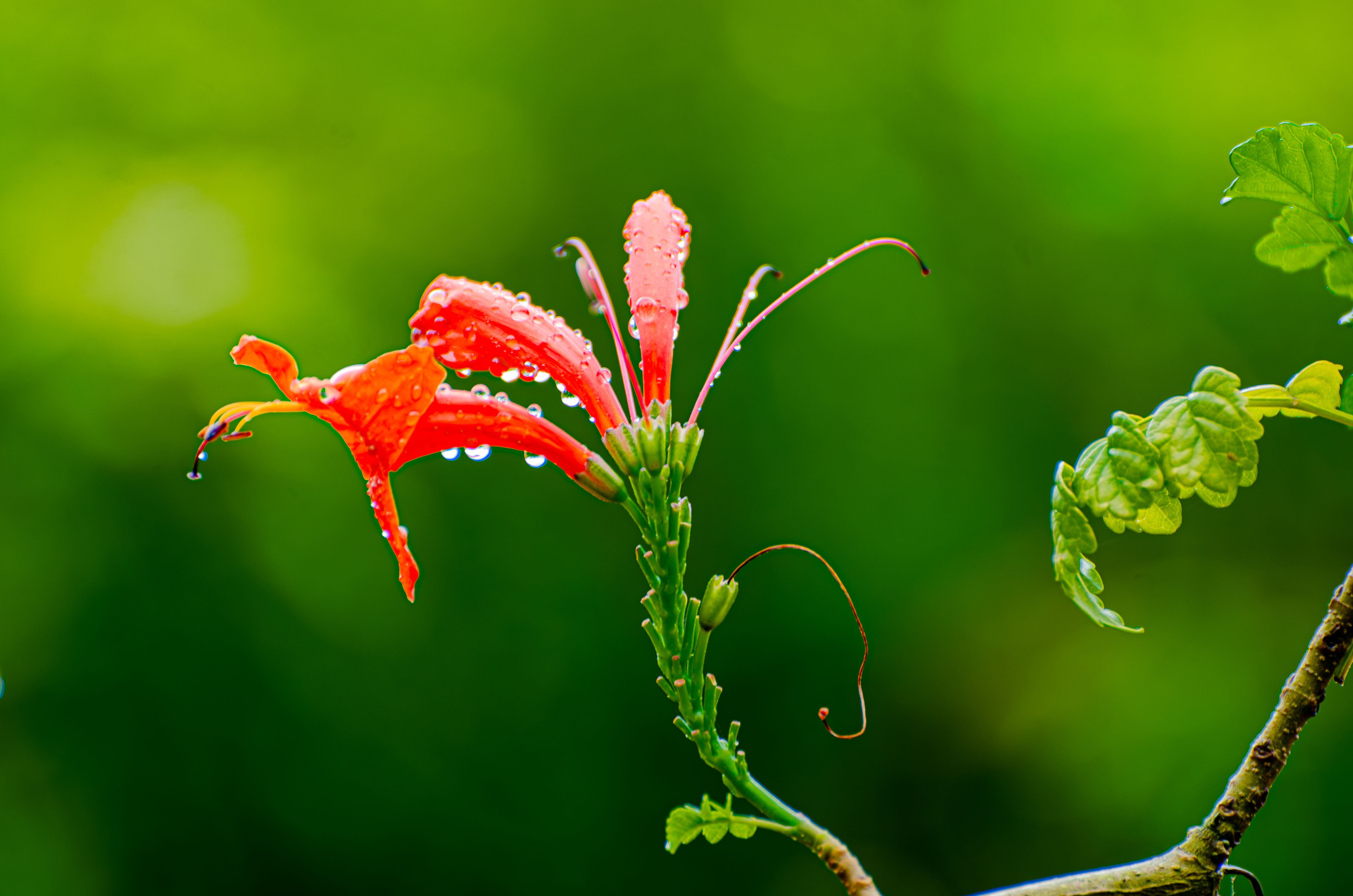 Rainy Friday Quotes Photos, Download The BEST Free Rainy Friday Quotes ...