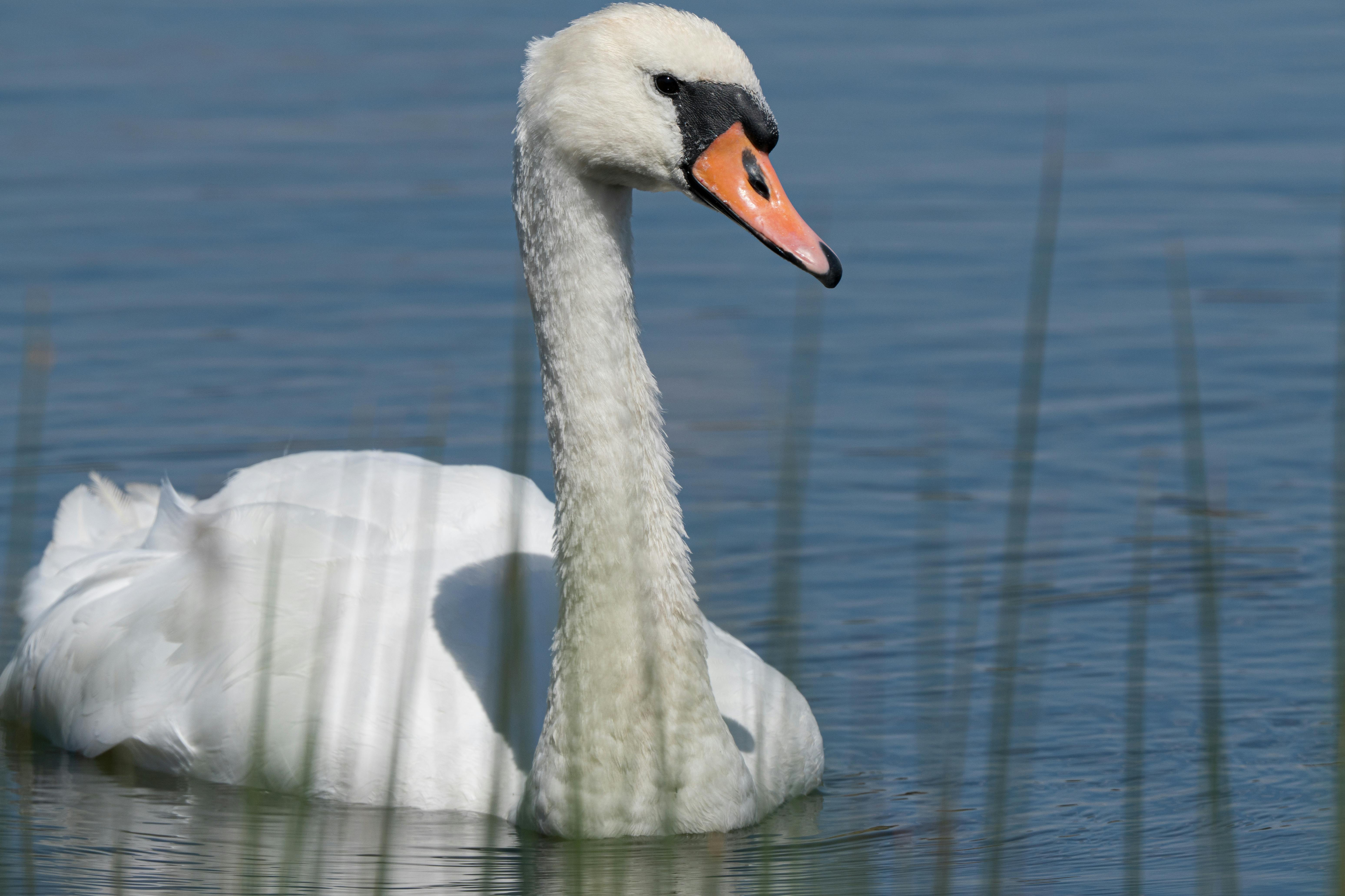 Anime+Wallpaper+Tuff Photos, Download The BEST Free Anime+Wallpaper ...