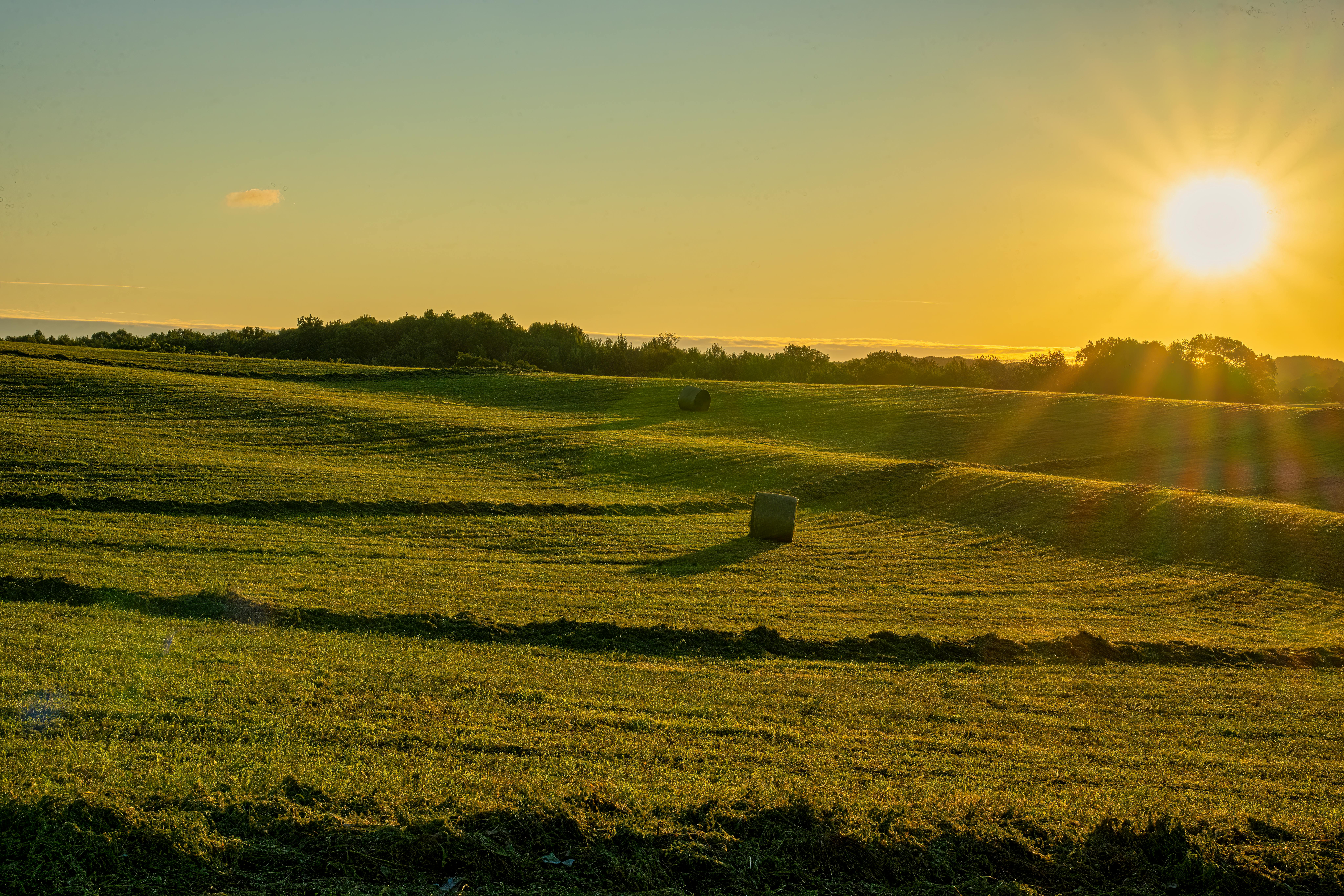 Sunset Over Green Field Of Corn, Iowa, Usa Photos, Download The BEST ...