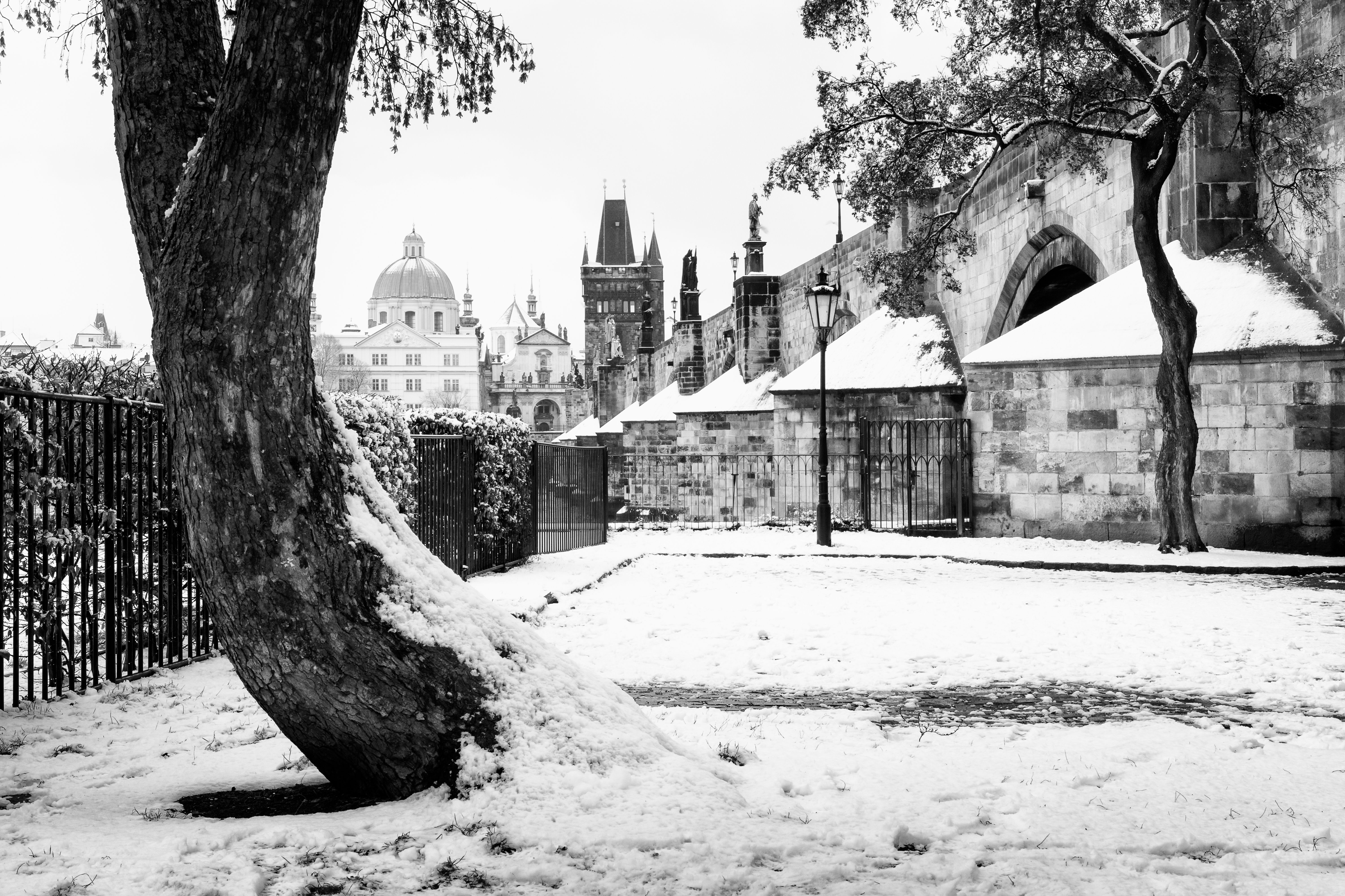 Winter Scene of Charles Bridge in Prague · Free Stock Photo