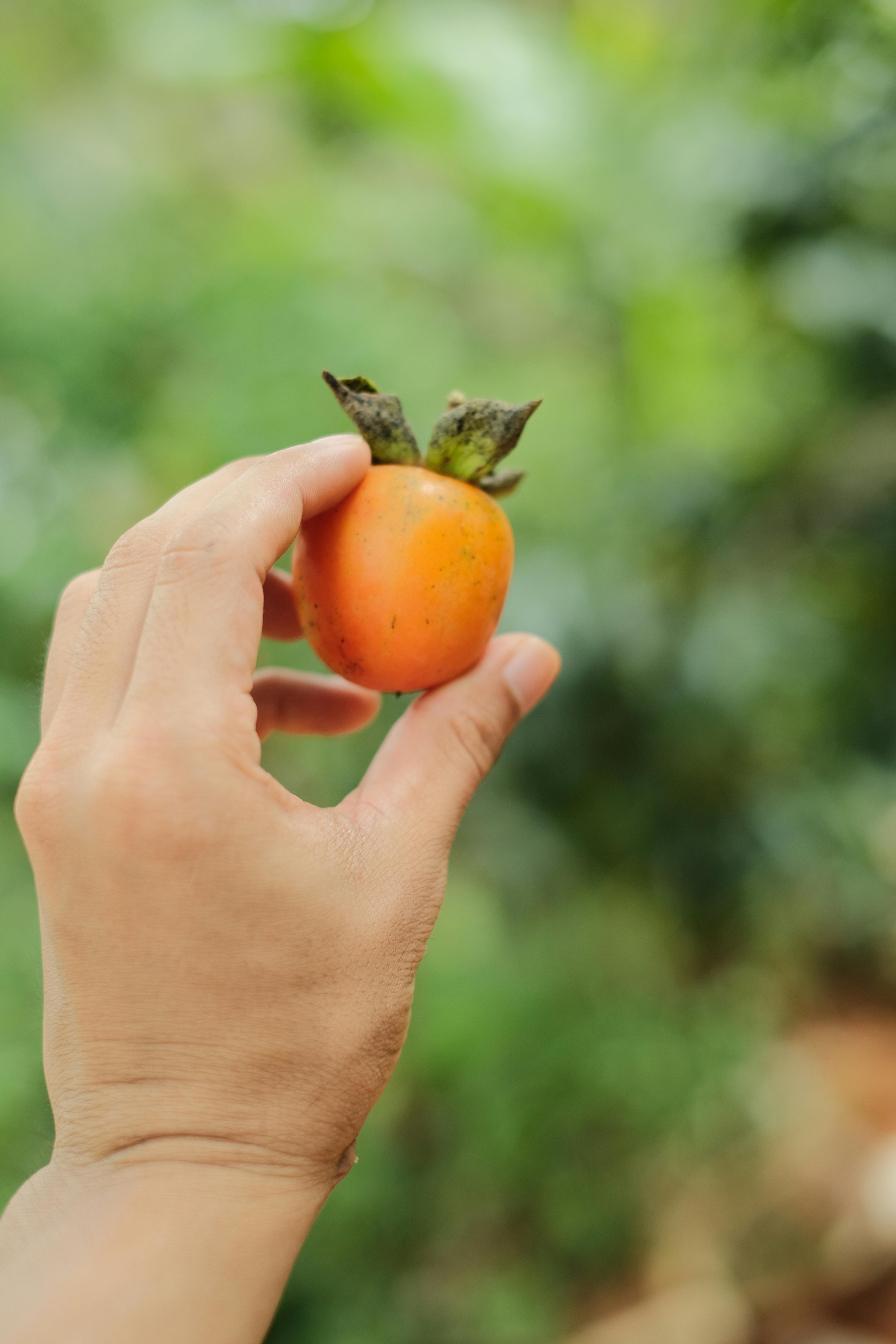 Selected Photos, Download The BEST Free Selected Stock Photos & HD Images