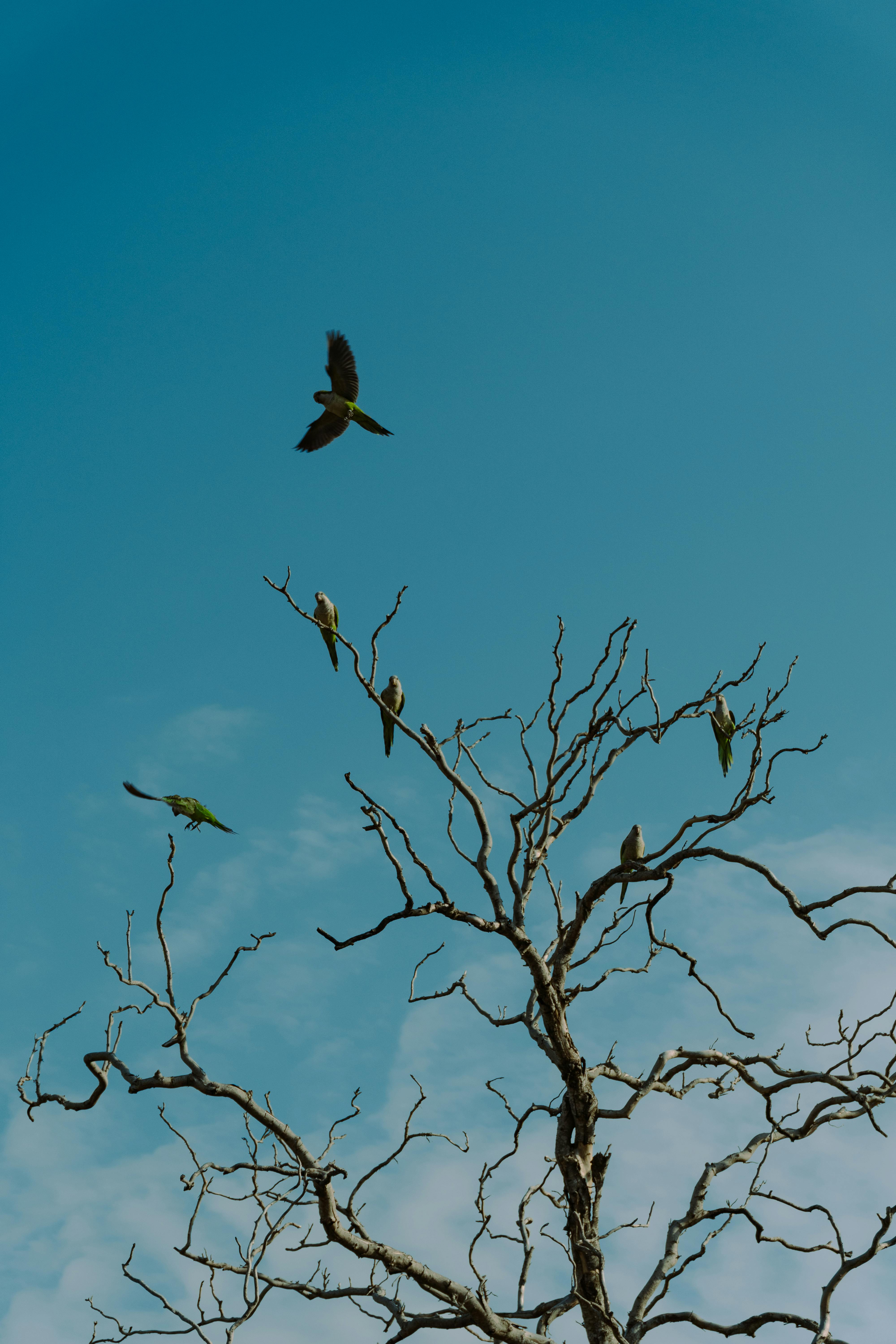 Free Png Photos, Download The BEST Free Free Png Stock Photos & HD Images