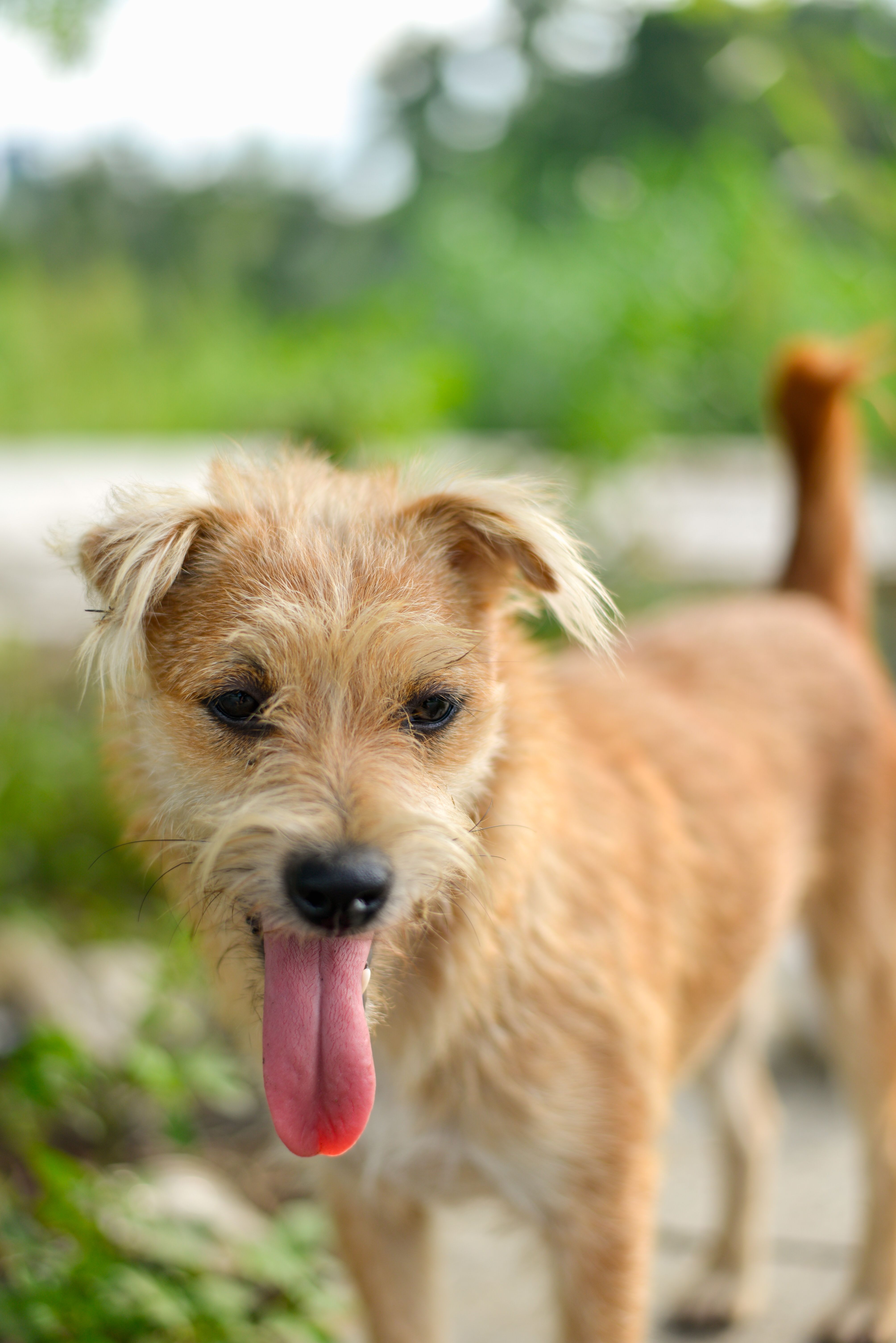 Cute+Imx+Girls Photos, Download The BEST Free Cute+Imx+Girls Stock ...