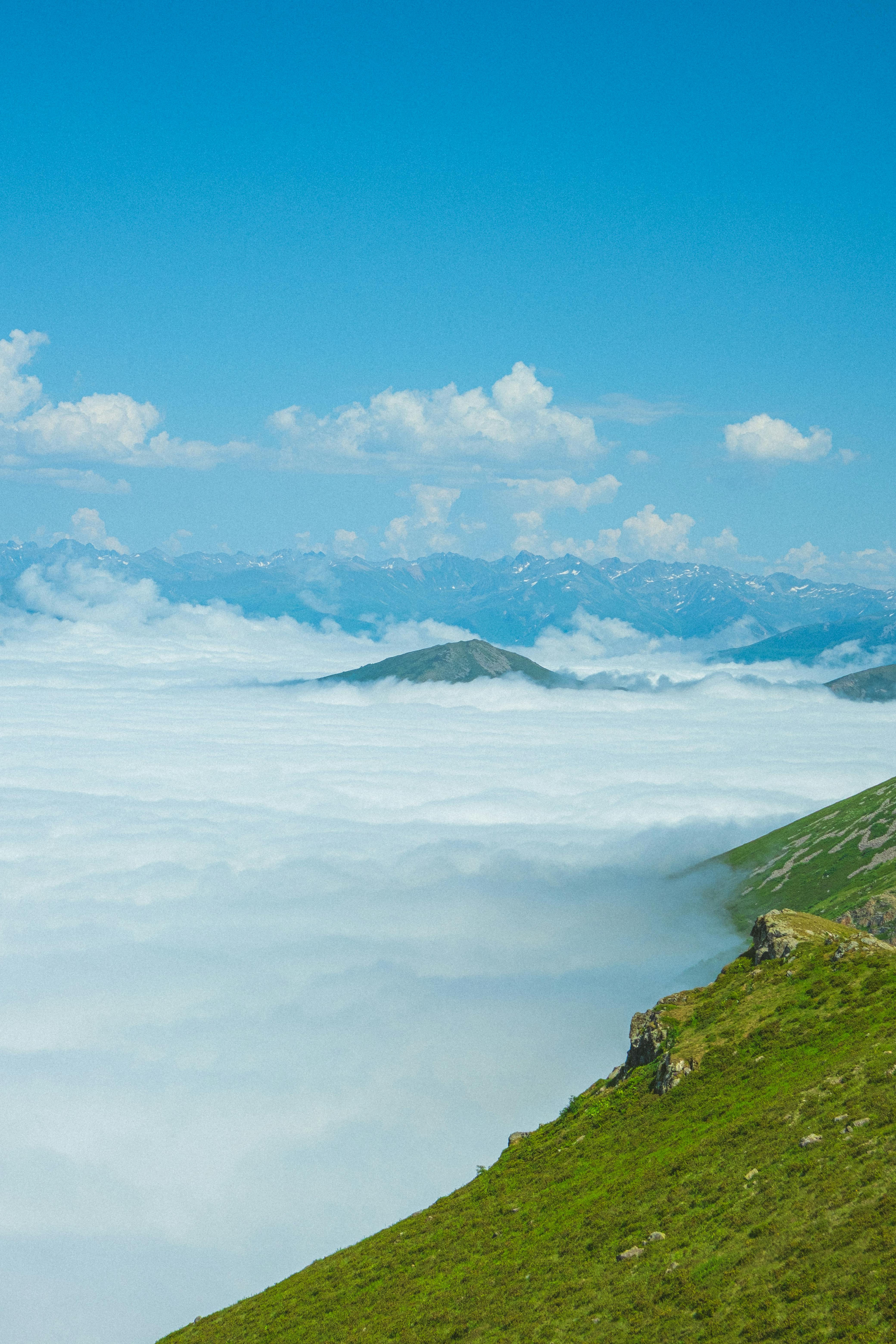 Uncanny Valley Photos, Download The BEST Free Uncanny Valley Stock ...