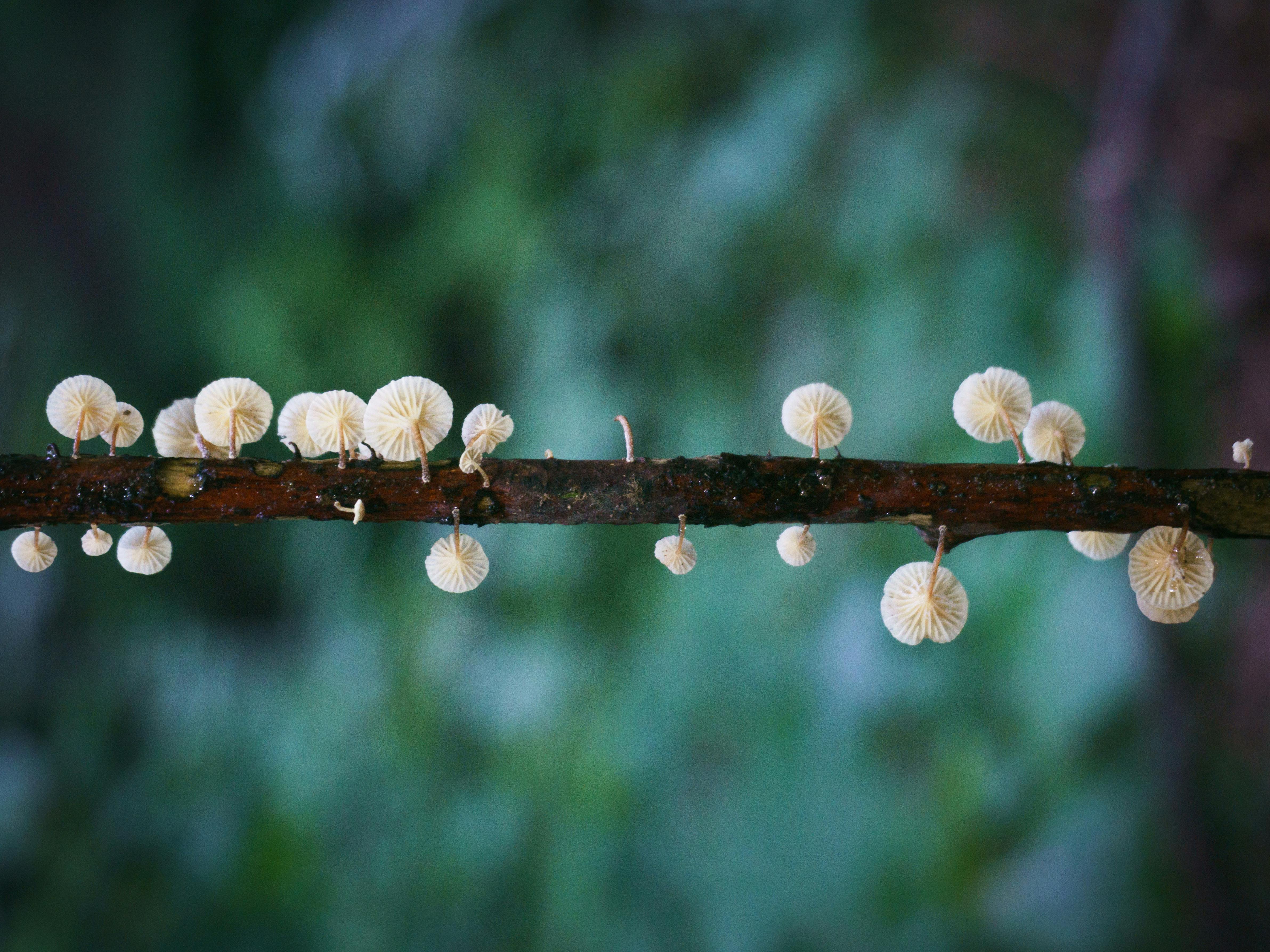 Best+Micro+Bikini+Gifs Photos, Download The BEST Free Best+Micro+Bikini ...