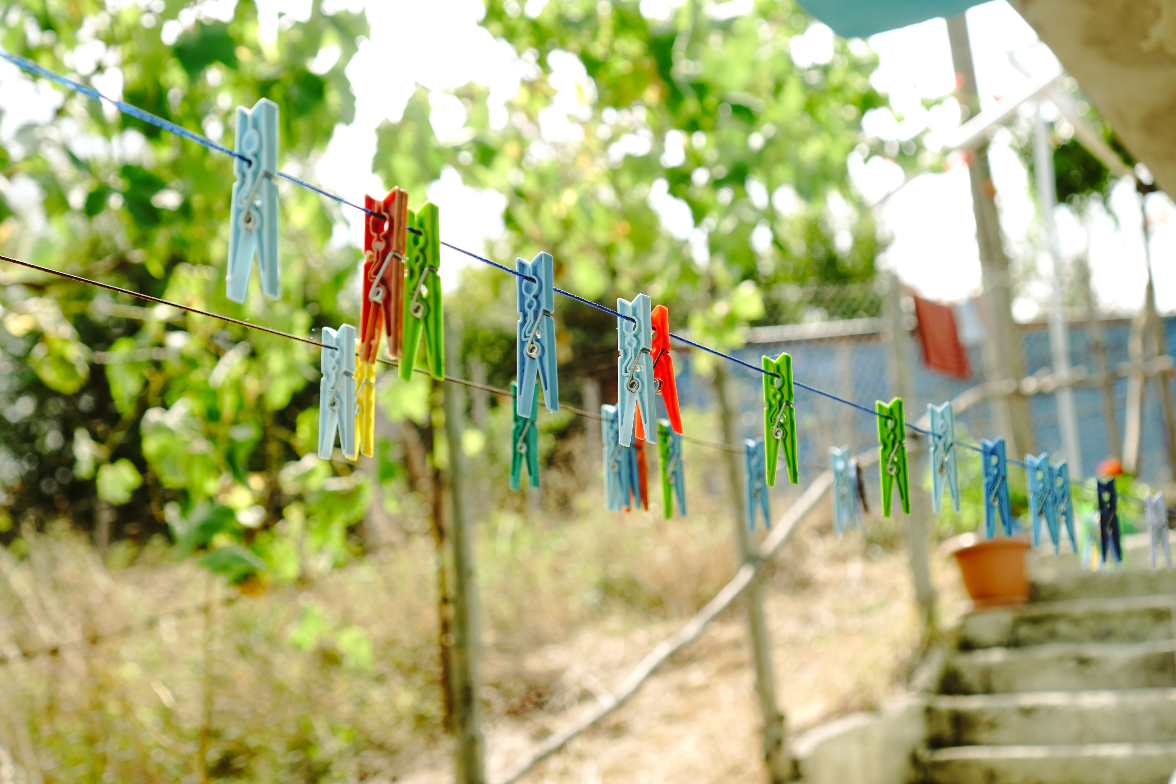 Peg Photos, Download The BEST Free Peg Stock Photos & HD Images