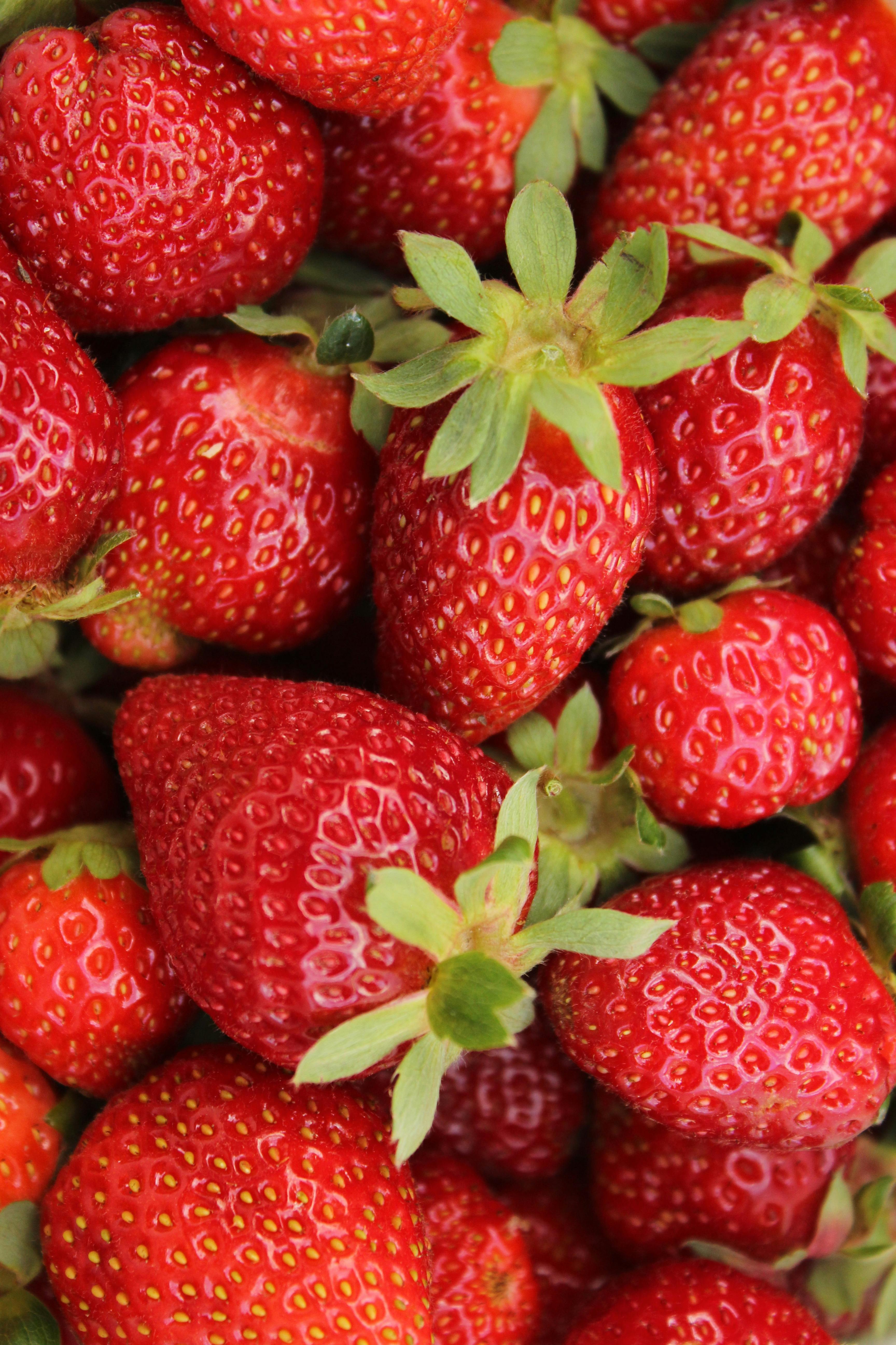 Nutrition And Health Photos, Download The BEST Free Nutrition And ...