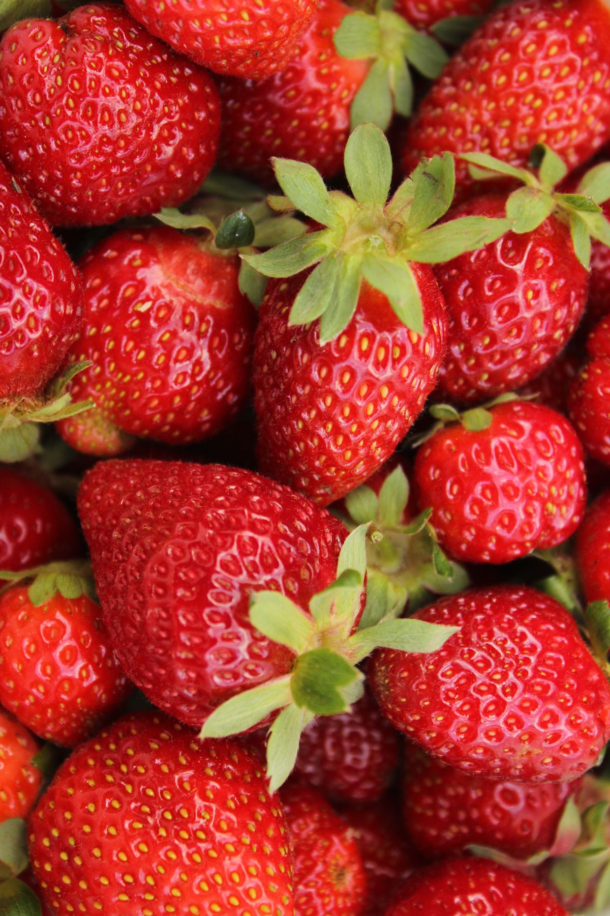 Fruit Farm Photos, Download The BEST Free Fruit Farm Stock Photos & HD ...