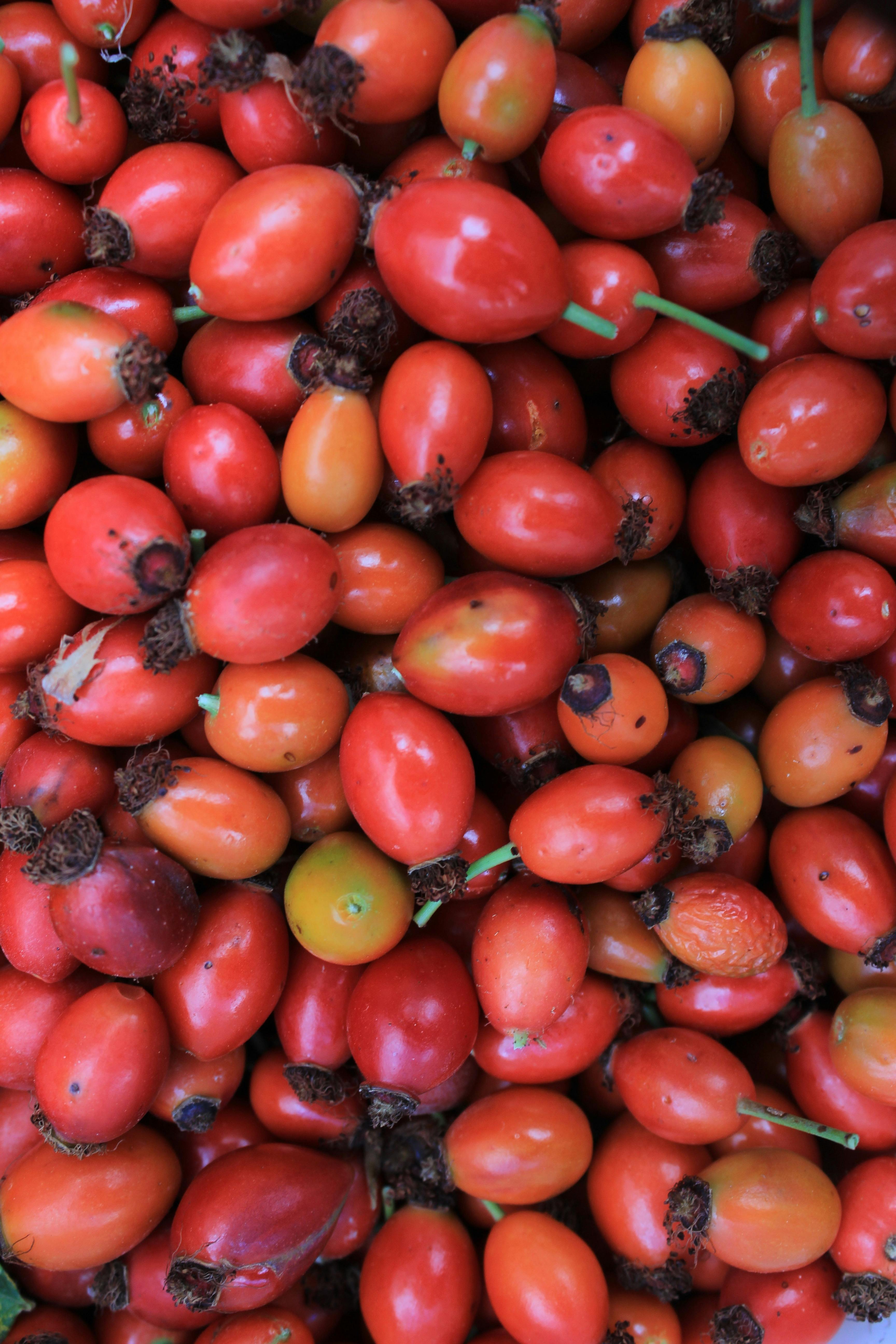 My+Fruits+Nn+Models Photos, Download The BEST Free My+Fruits+Nn+Models ...