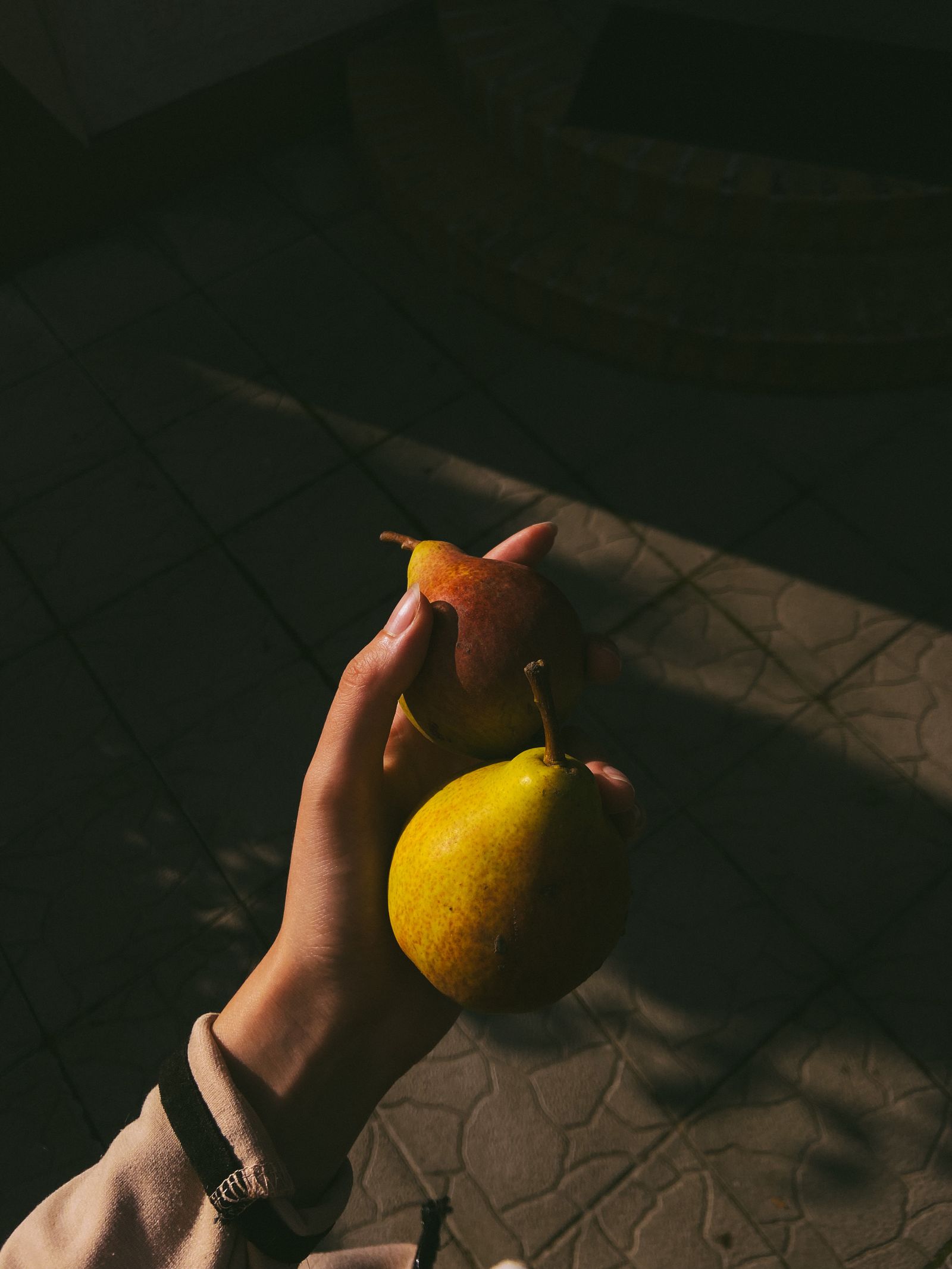 Fruit Farm Photos, Download The BEST Free Fruit Farm Stock Photos & HD ...