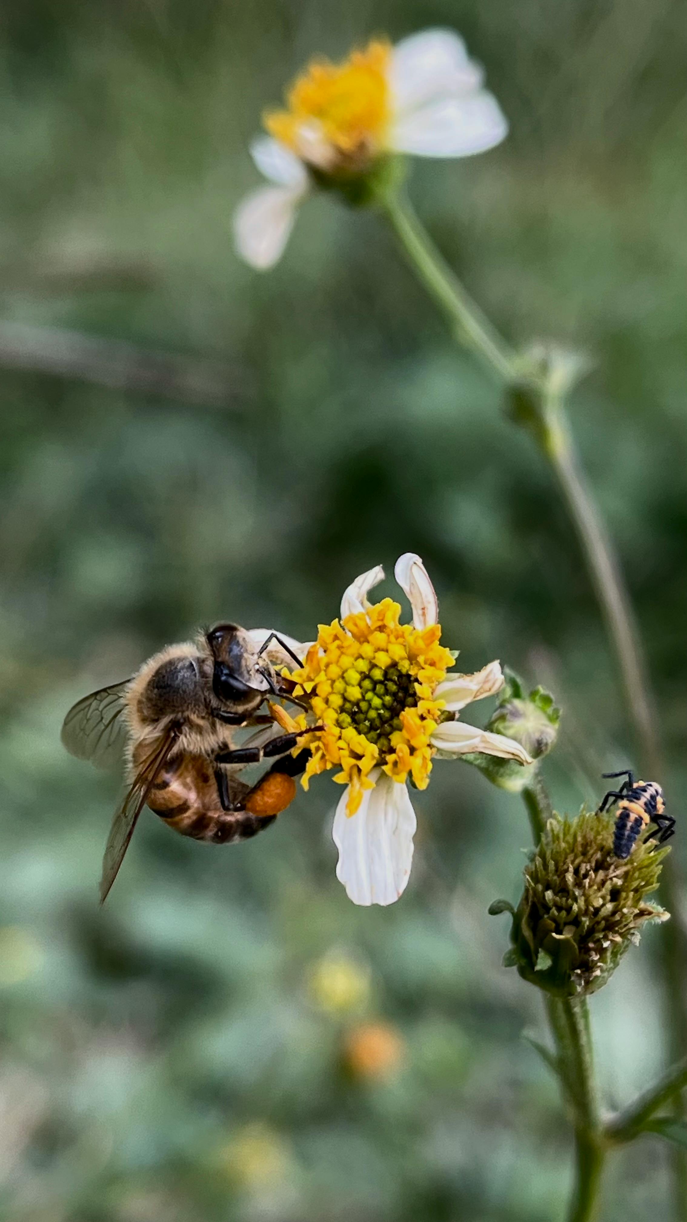 Lornna Guevara - Photography