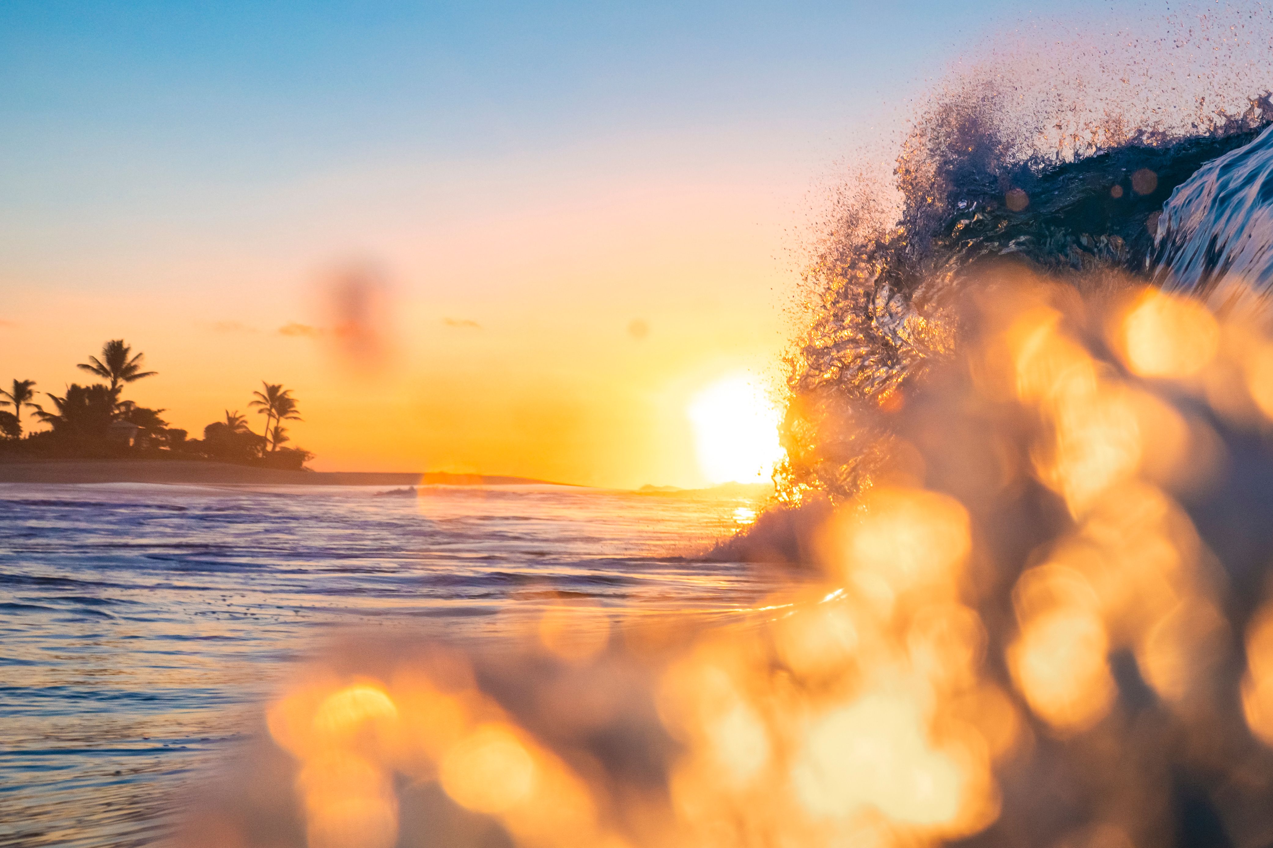 Sunset Over Hawaii Ocean Waves and Palm Trees · Free Stock Photo