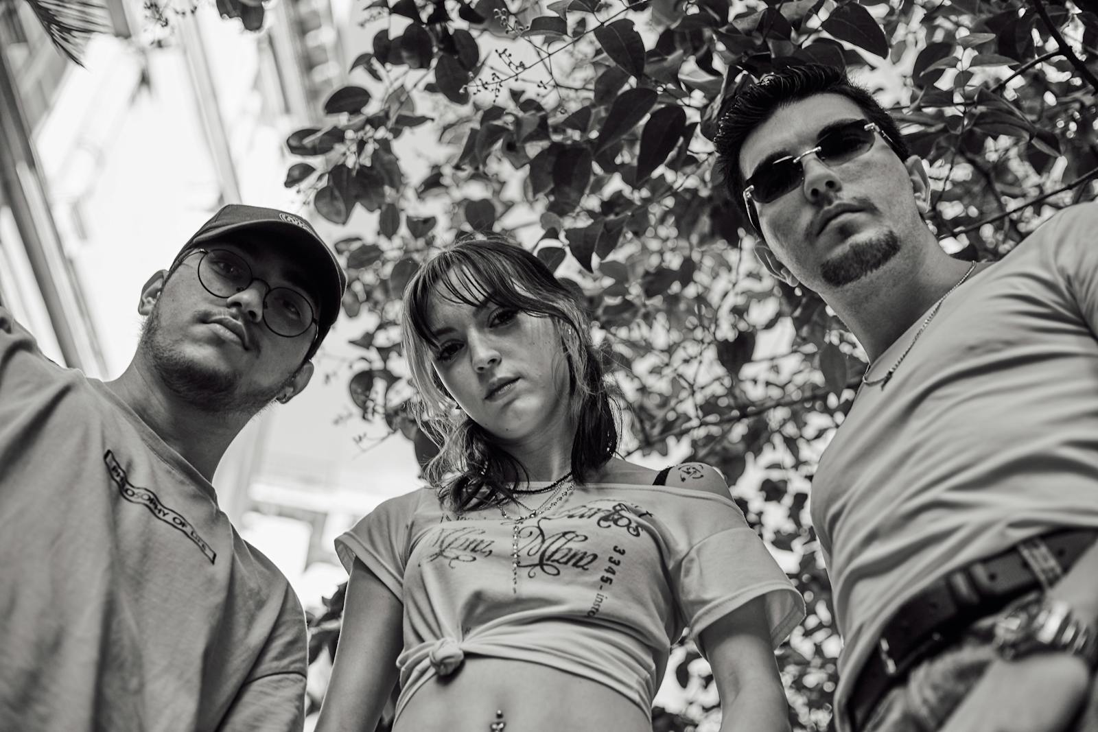 Trio Photos, Download The BEST Free Trio Stock Photos & HD Images