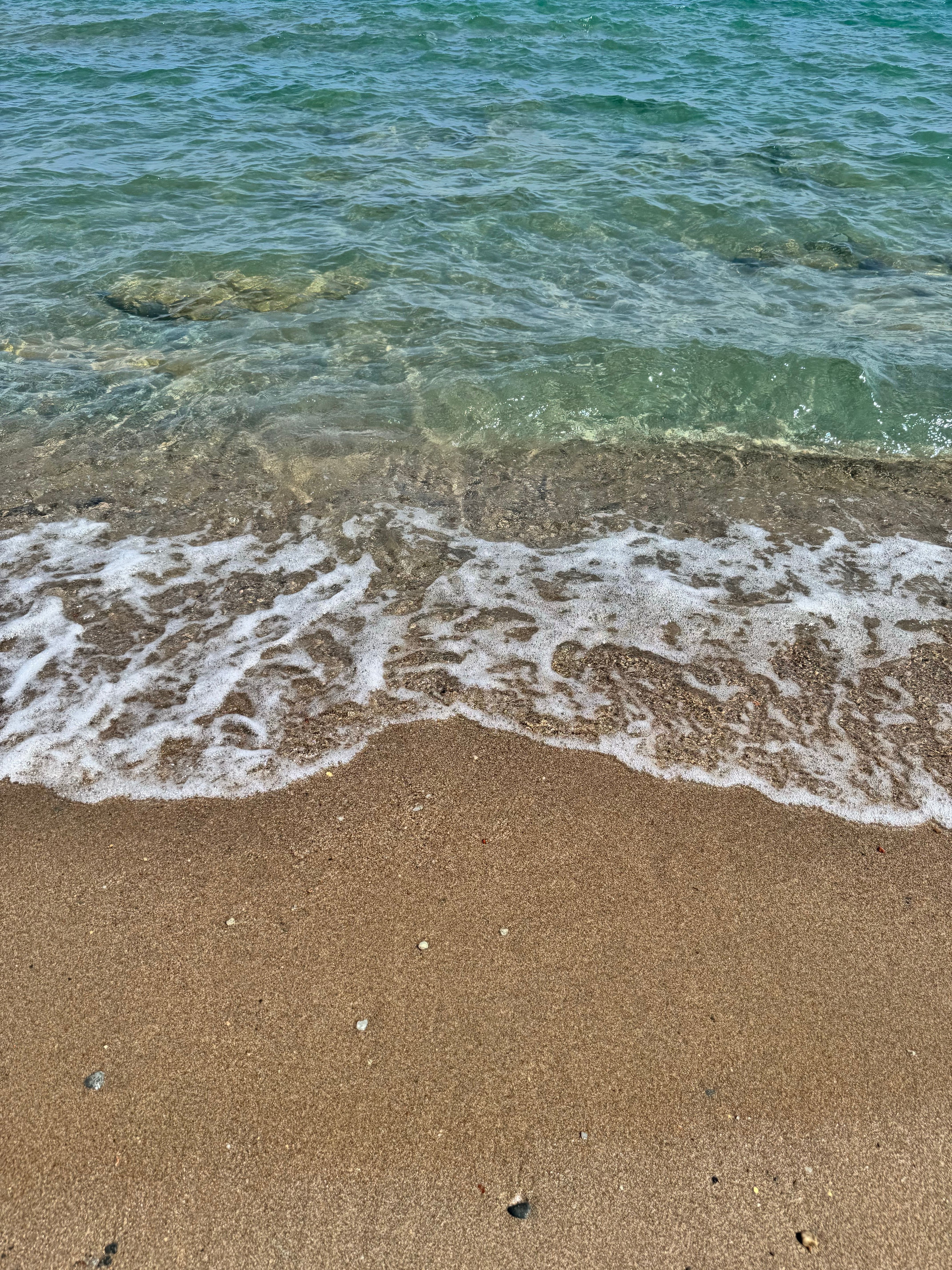 Serene Sandy Beach and Clear Blue Sea · Free Stock Photo