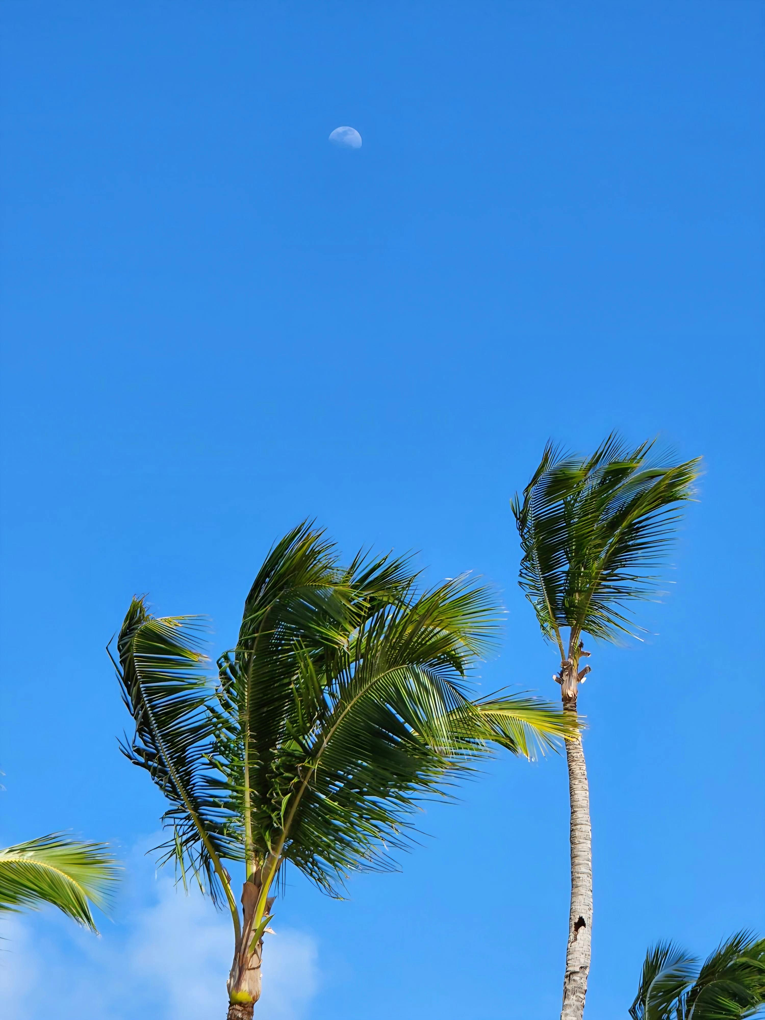 Windy Photos, Download The BEST Free Windy Stock Photos & HD Images