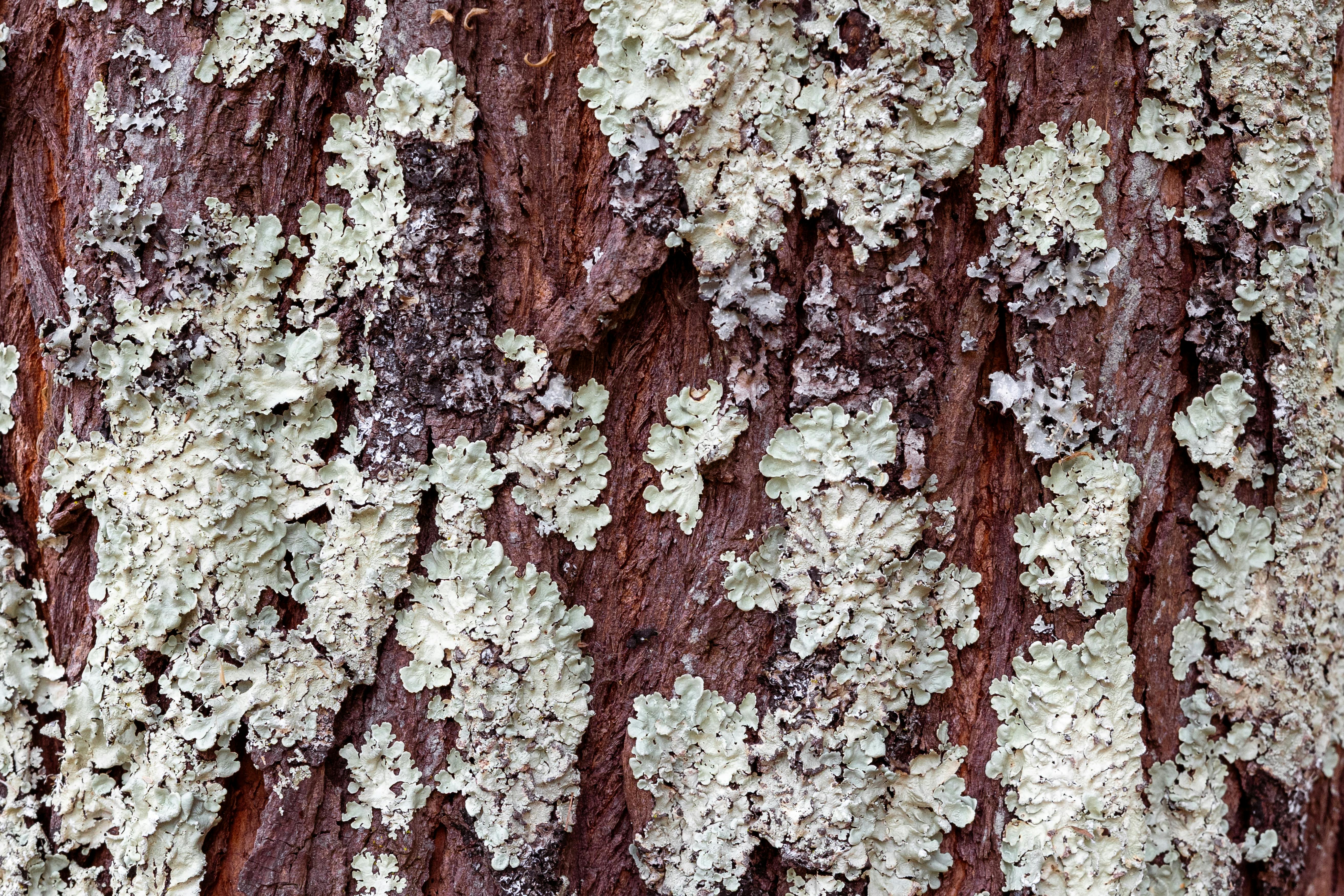 Repo Background Photos, Download The BEST Free Repo Background Stock ...