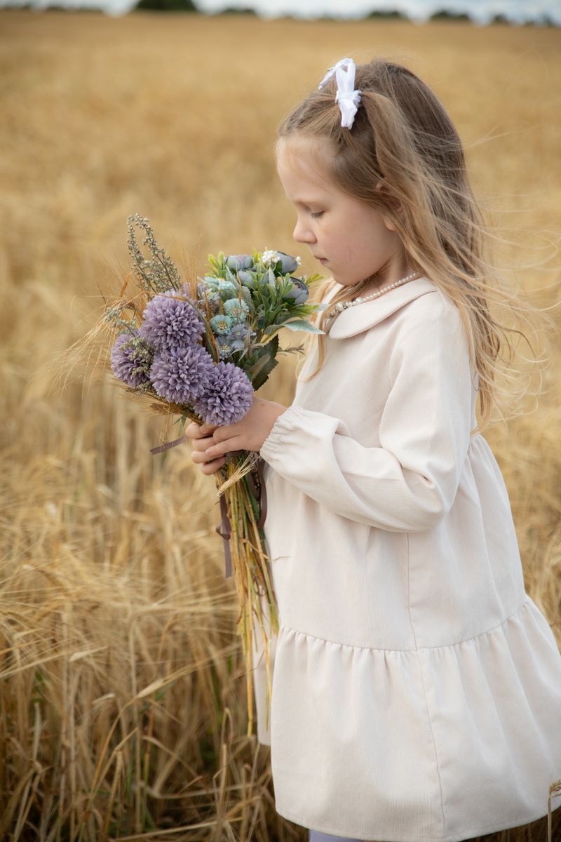 Wheat And Darnel Photos, Download The BEST Free Wheat And Darnel Stock ...