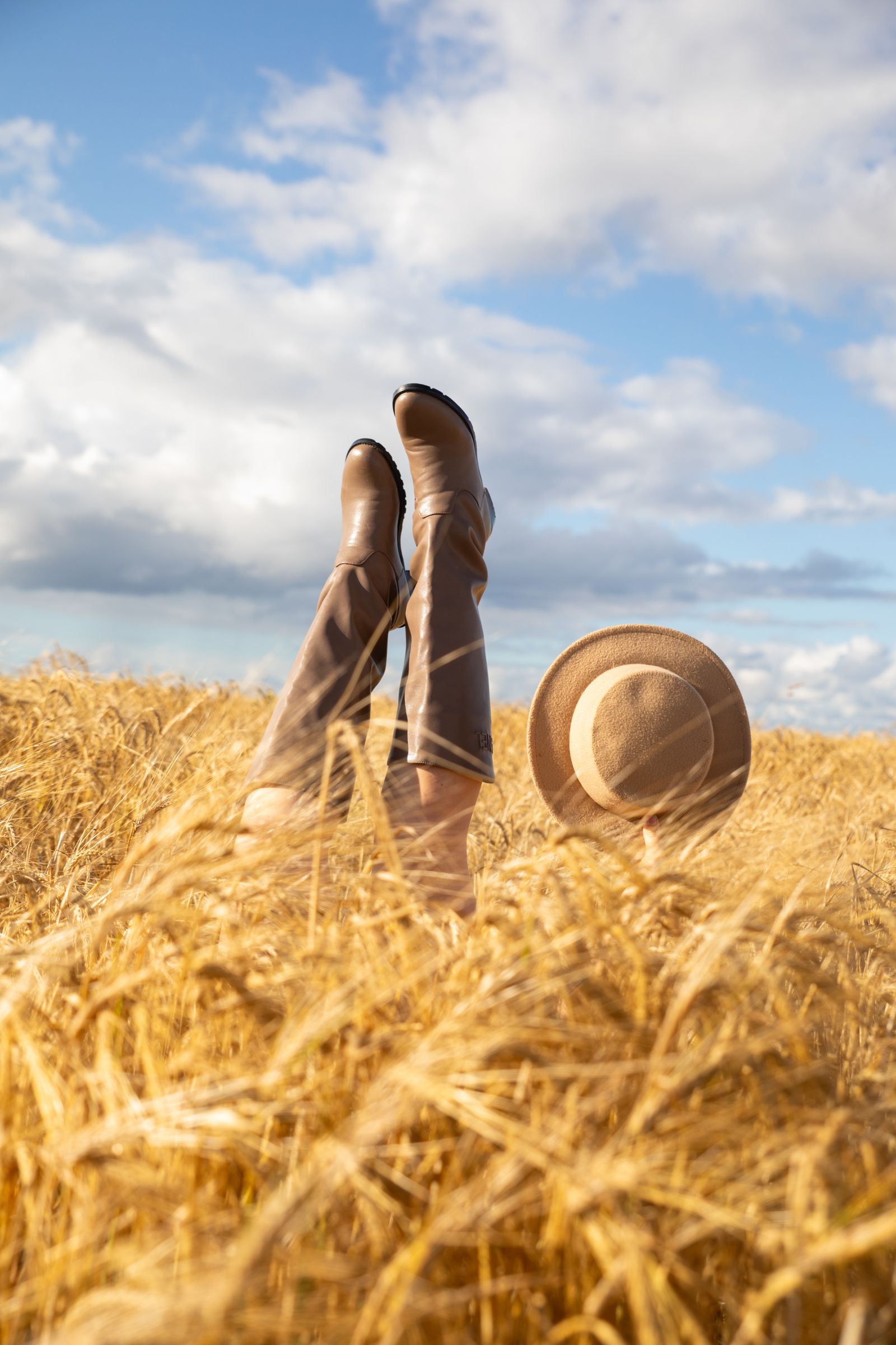 Wheat And Darnel Photos, Download The BEST Free Wheat And Darnel Stock ...