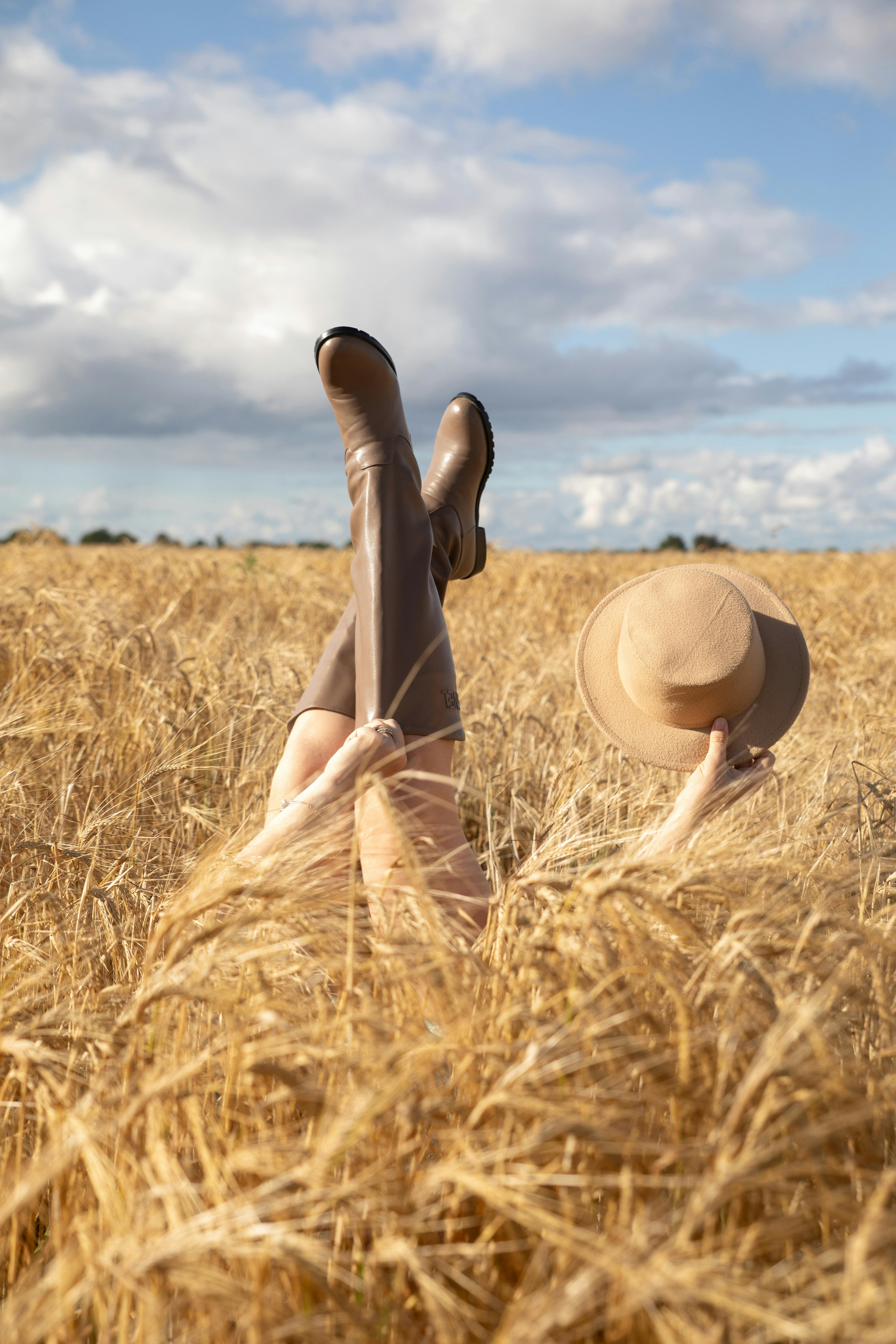 Driving+Licence+Back+And+Front Photos, Download The BEST Free Driving ...