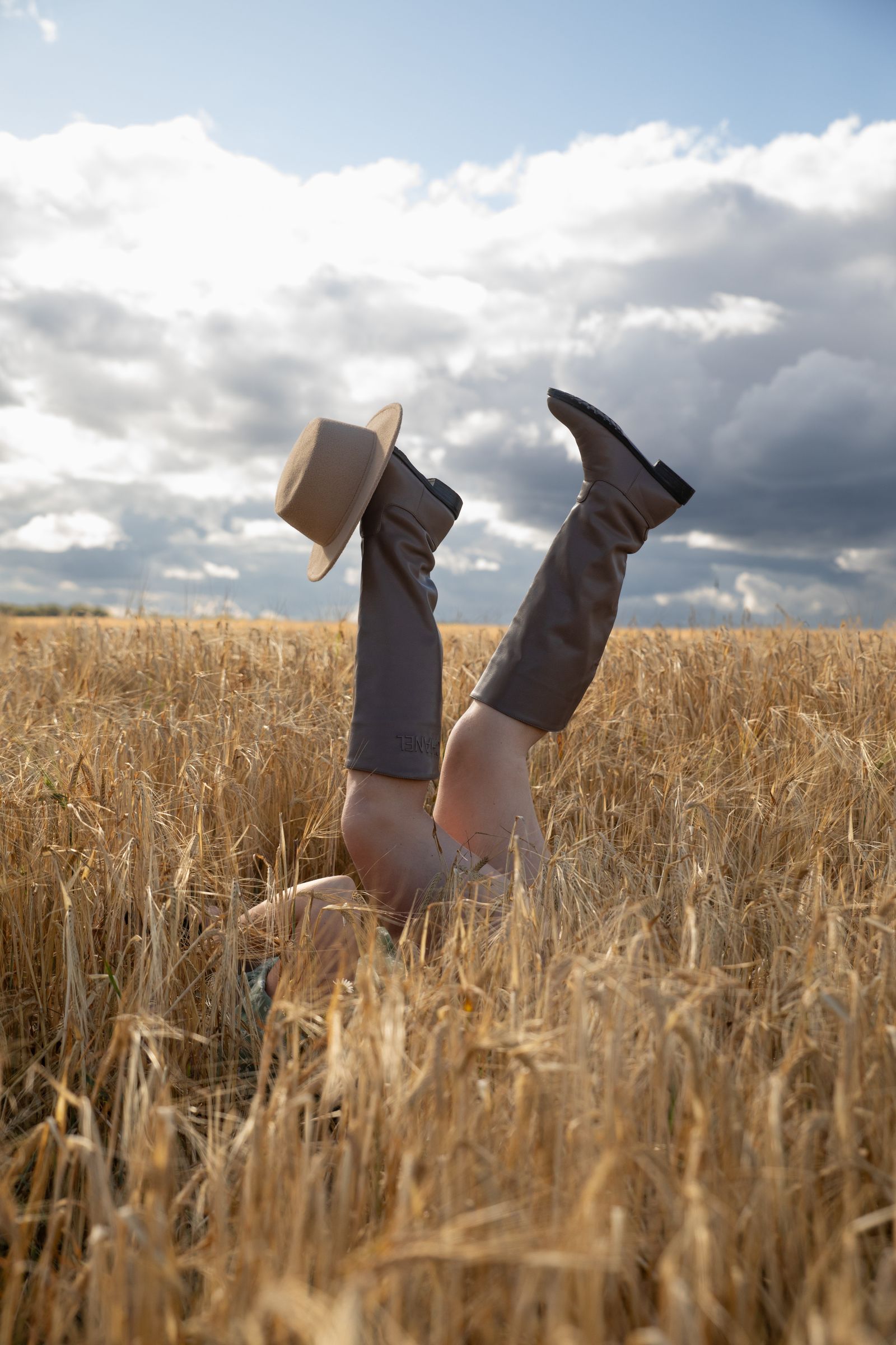 Wheat And Darnel Photos, Download The BEST Free Wheat And Darnel Stock ...