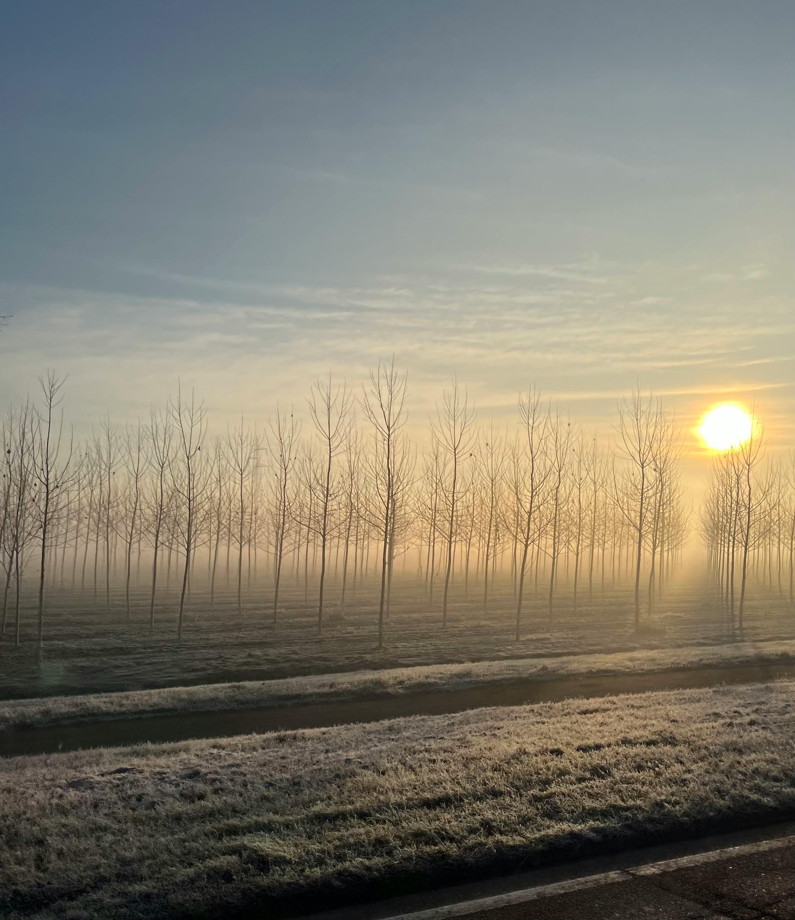 Plain Photos, Download The BEST Free Plain Stock Photos & HD Images