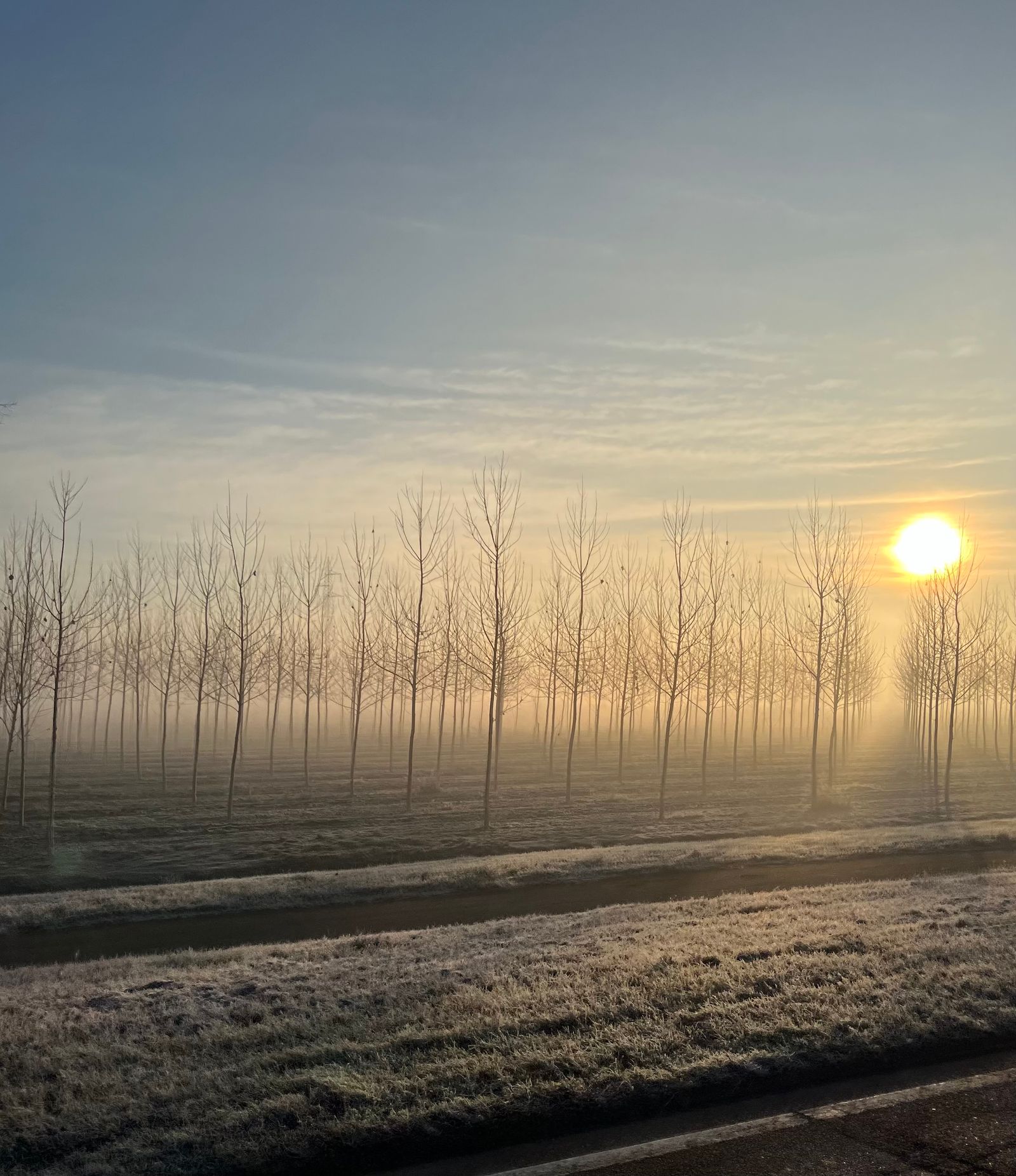 Winter Sun Photos, Download The BEST Free Winter Sun Stock Photos & HD ...