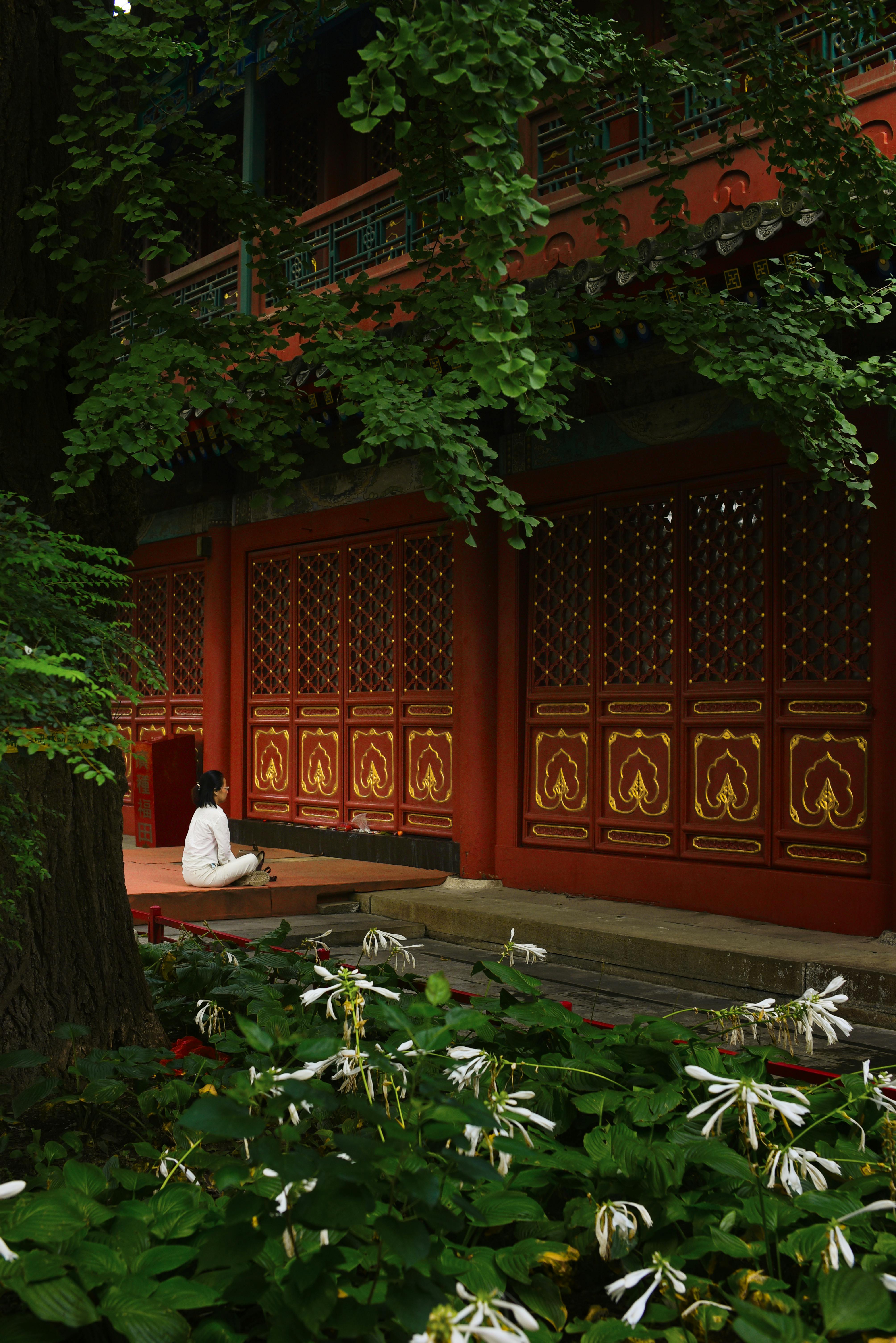 Sawariya Seth Temple Photos, Download The BEST Free Sawariya Seth ...