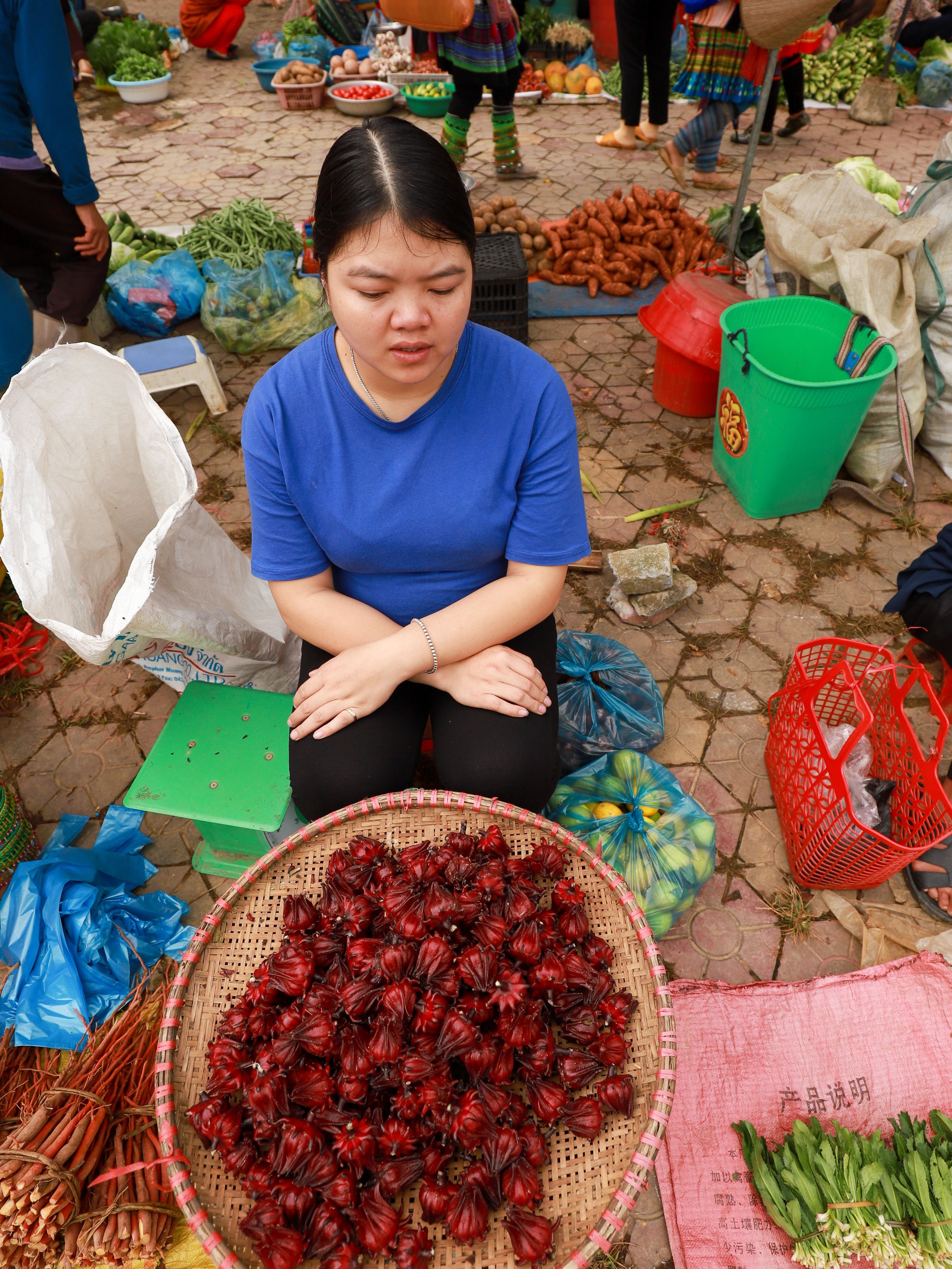 Economic Activity Photos, Download The BEST Free Economic Activity ...