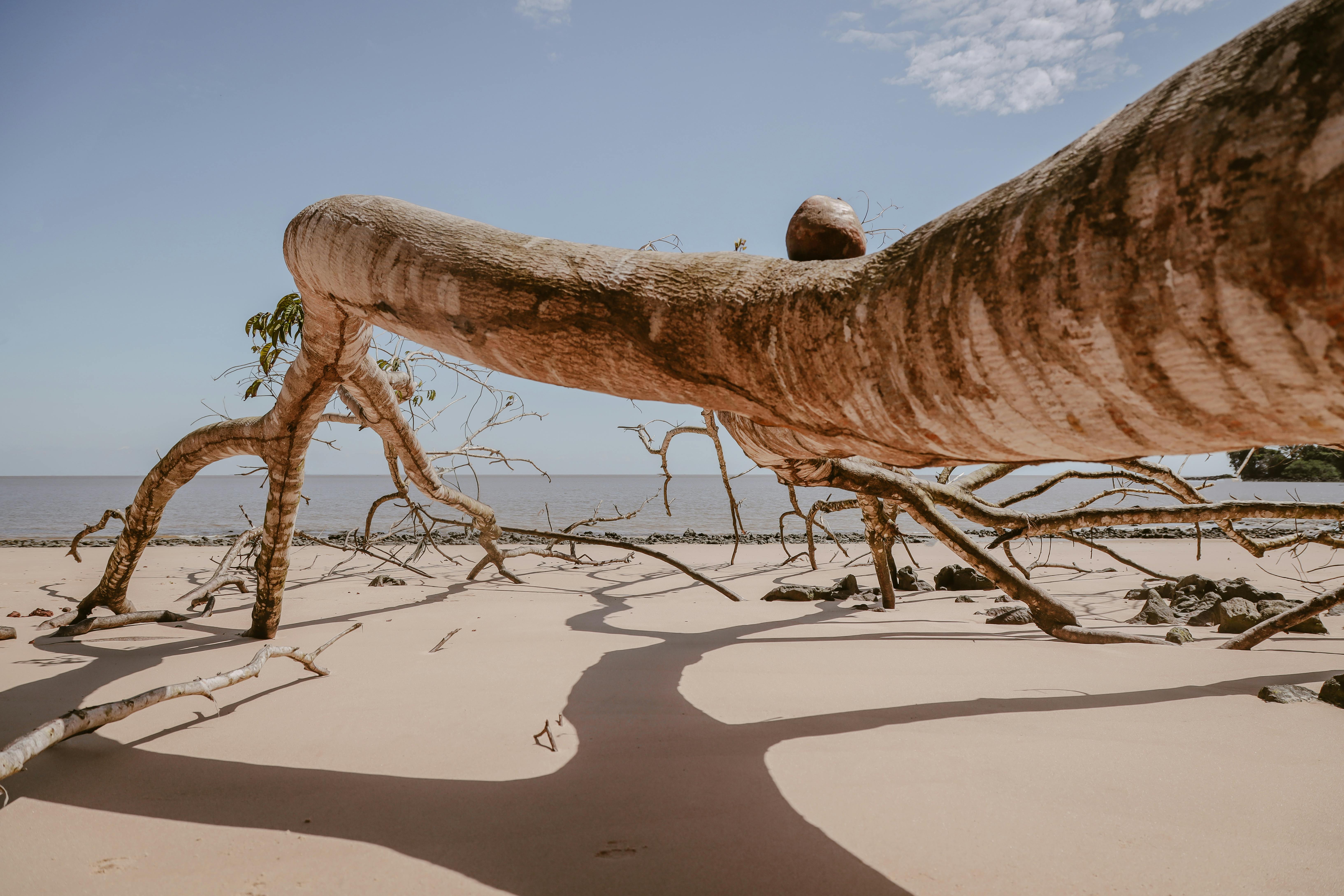 Mar Photos, Download The BEST Free Mar Stock Photos & HD Images