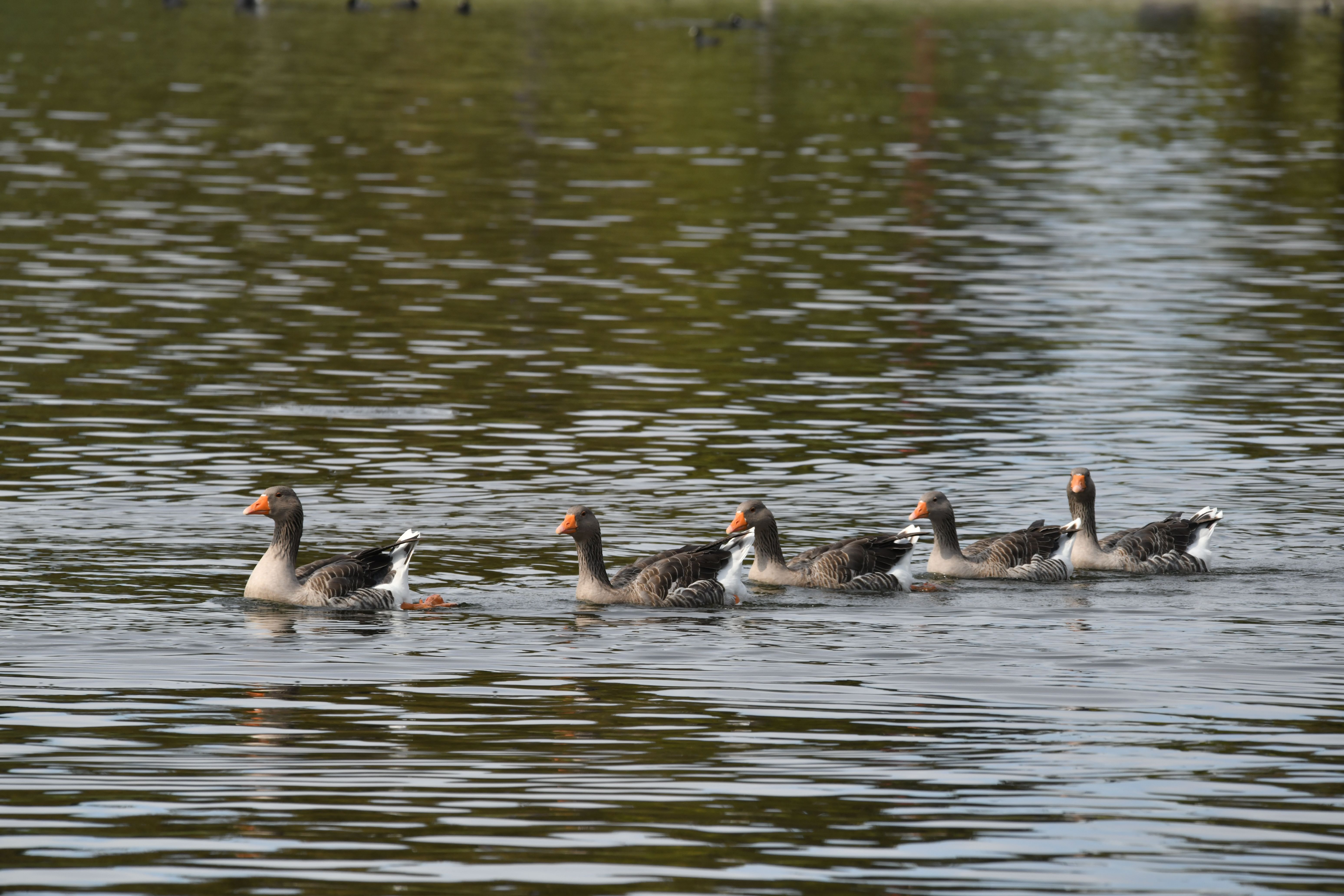 Group In Nature Photos, Download The BEST Free Group In Nature Stock ...
