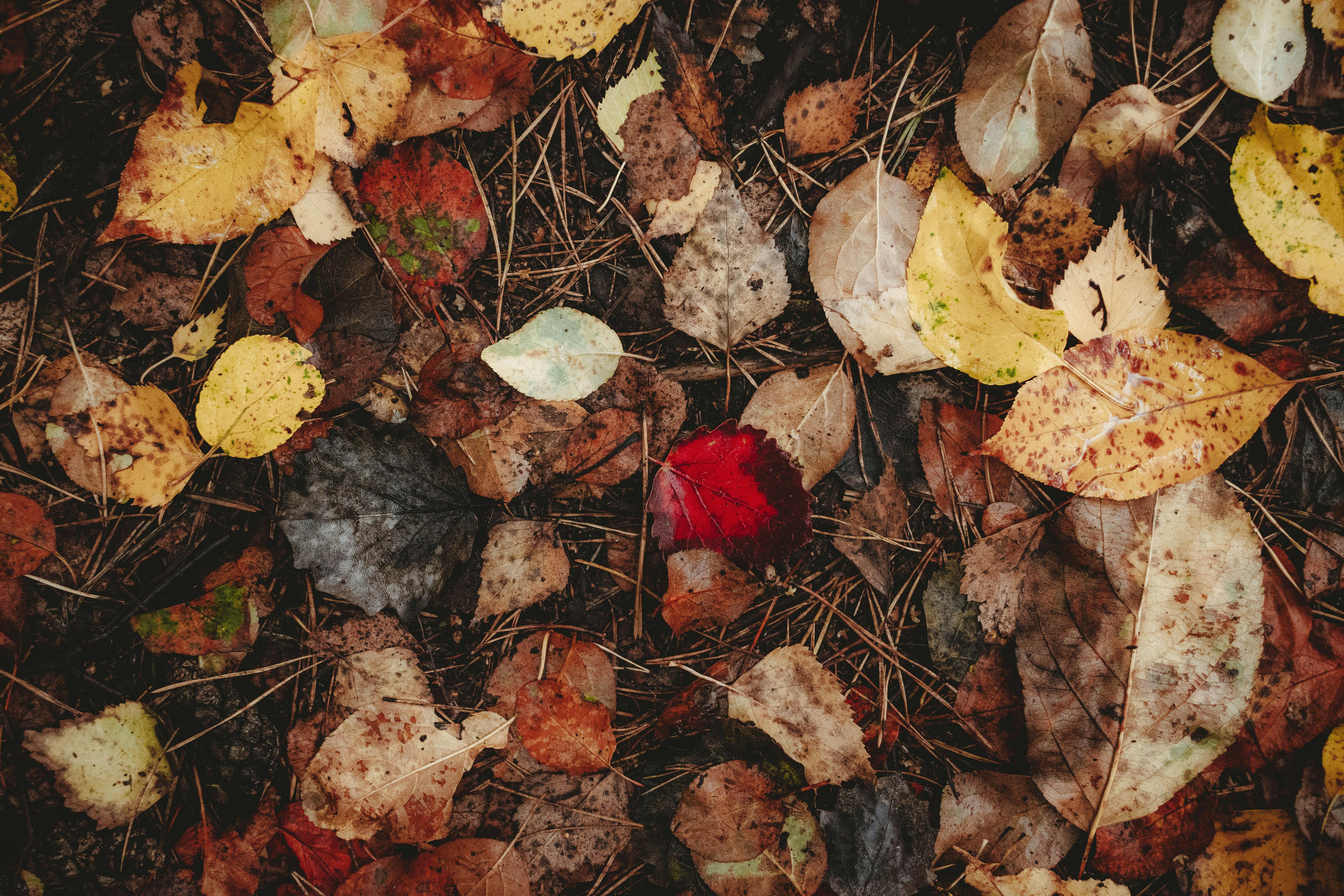 Devops+Cover+Photo+For+Linkedin Photos, Download The BEST Free Devops ...