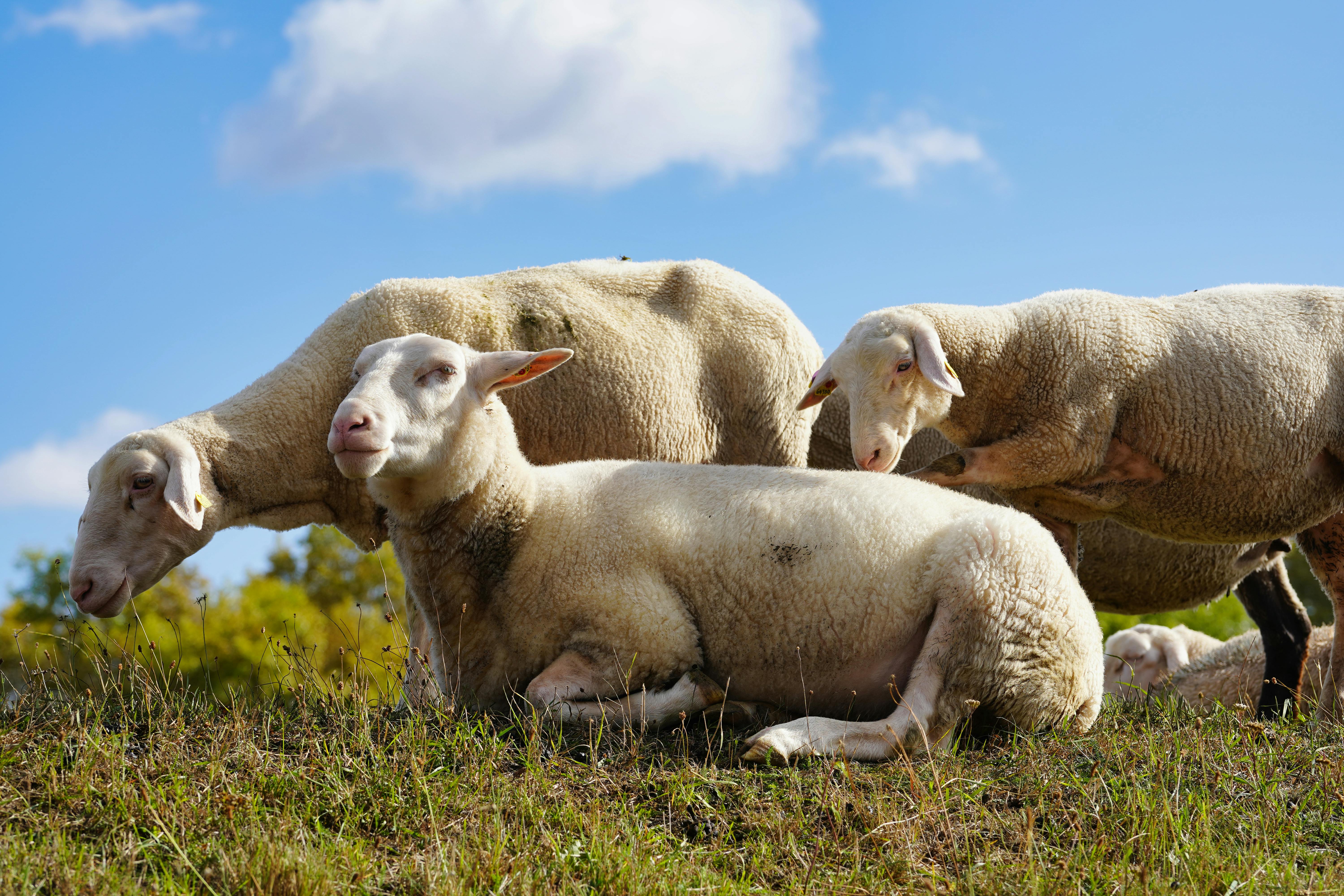 Katie+Zacharia+Photos Photos, Download The BEST Free Katie+Zacharia ...